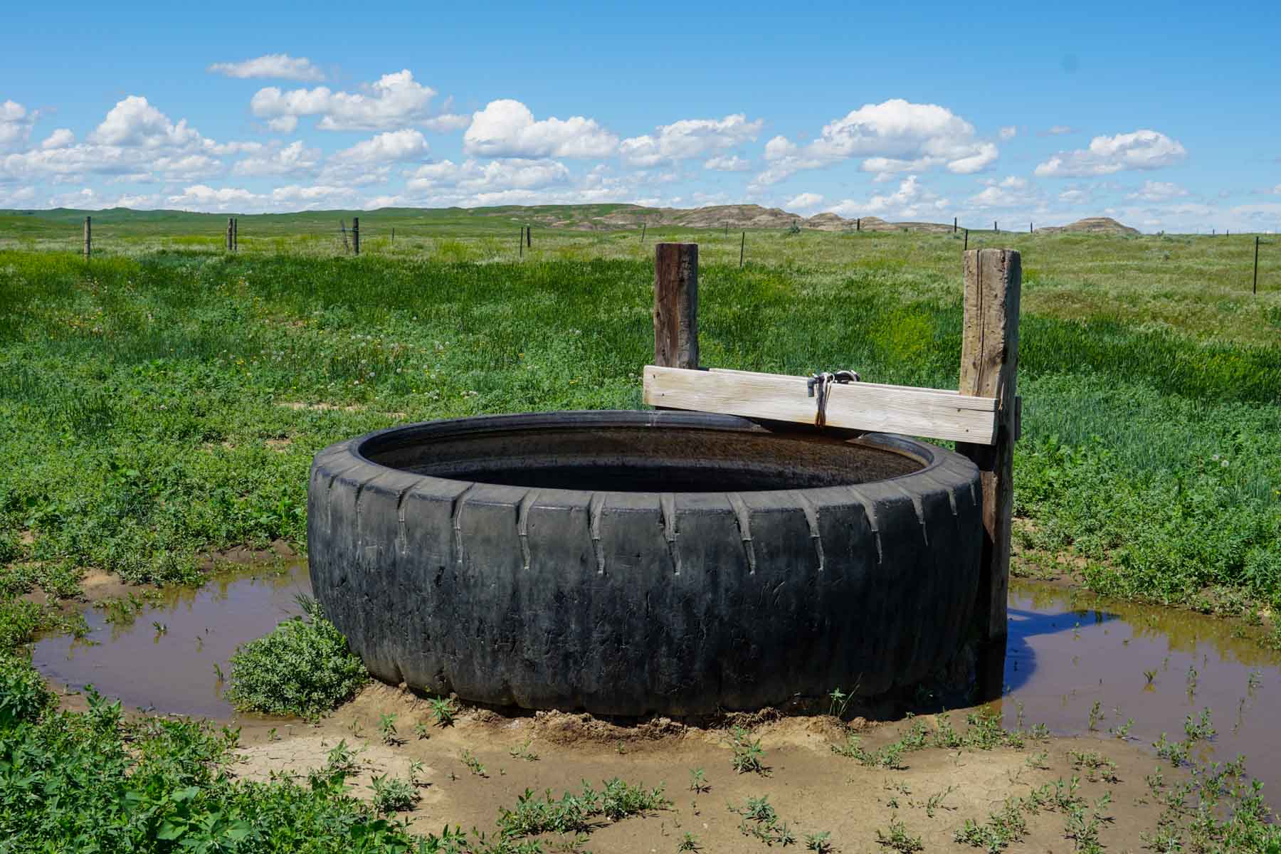 ZX Ranch - Sold - South Dakota - Hall and Hall