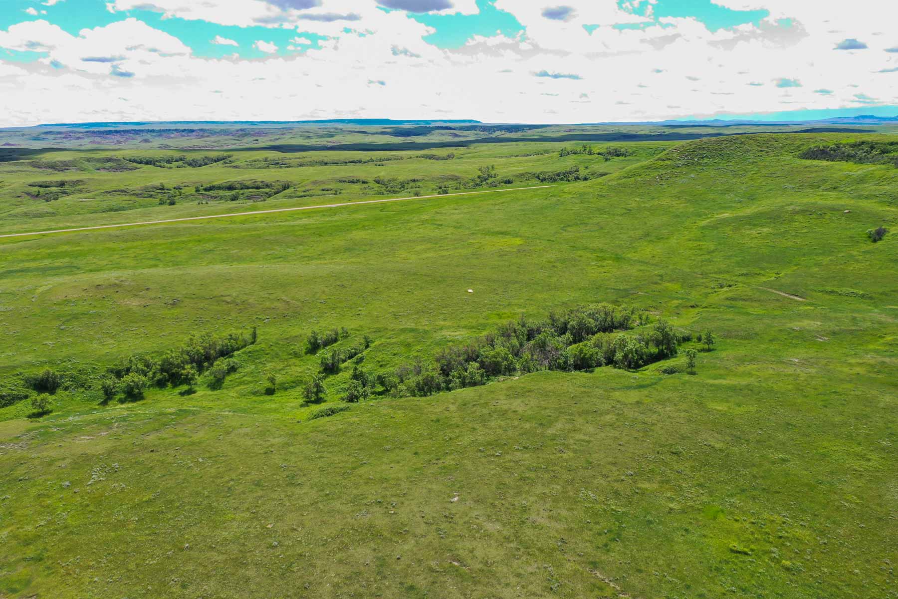 ZX Ranch - Sold - South Dakota - Hall and Hall