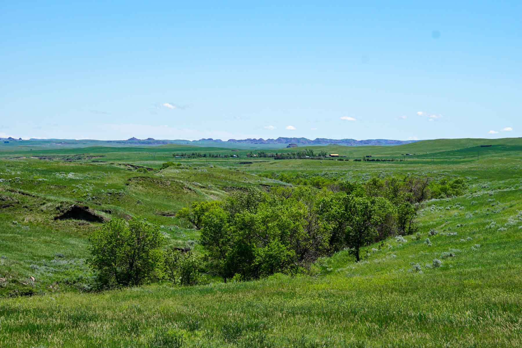ZX Ranch - Sold - South Dakota - Hall and Hall