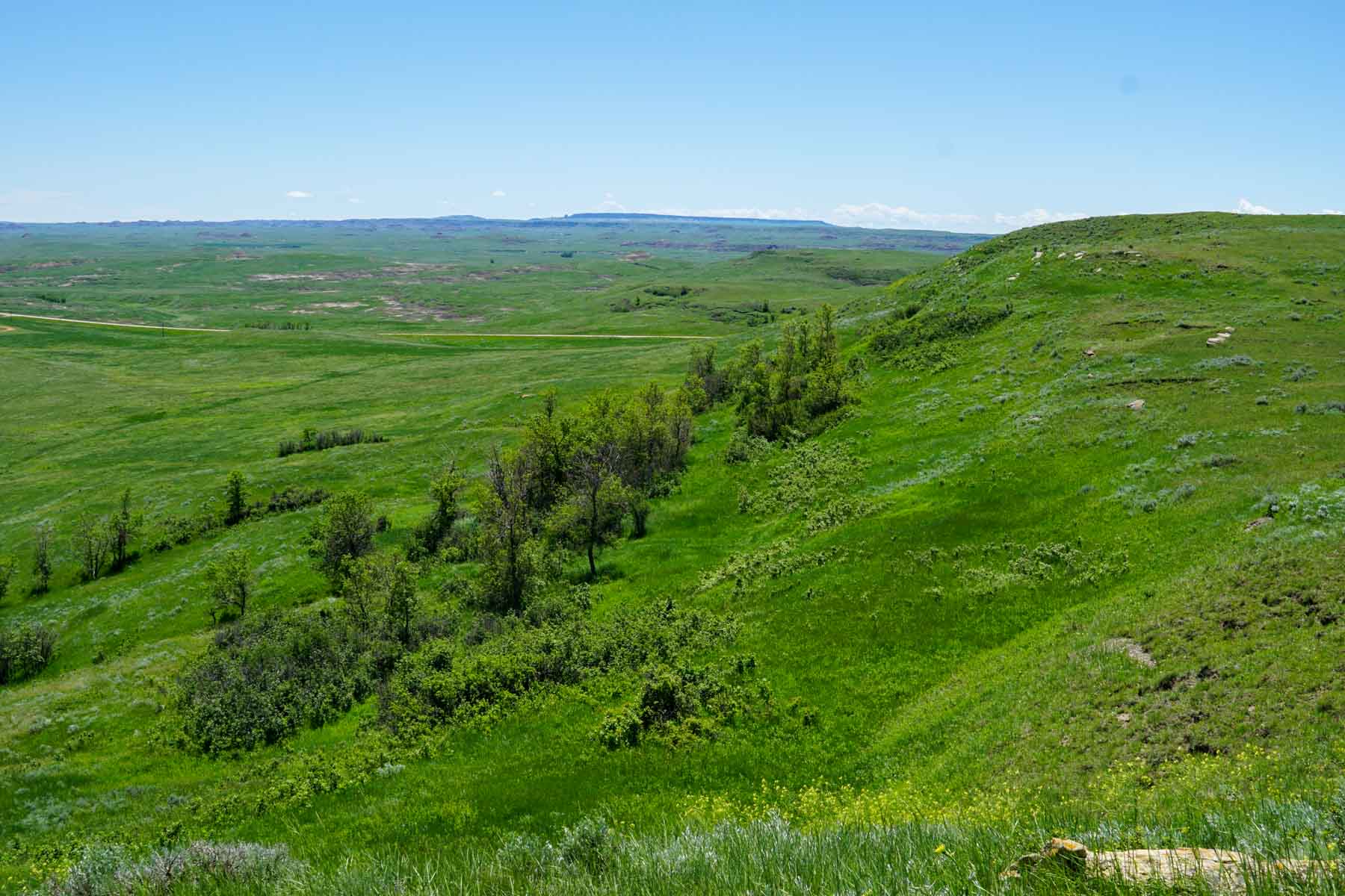 ZX Ranch - Sold - South Dakota - Hall and Hall