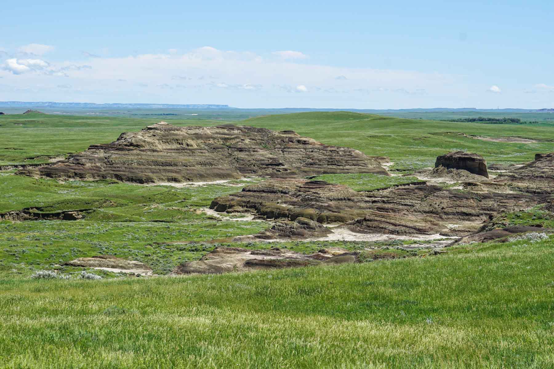 ZX Ranch - Sold - South Dakota - Hall and Hall