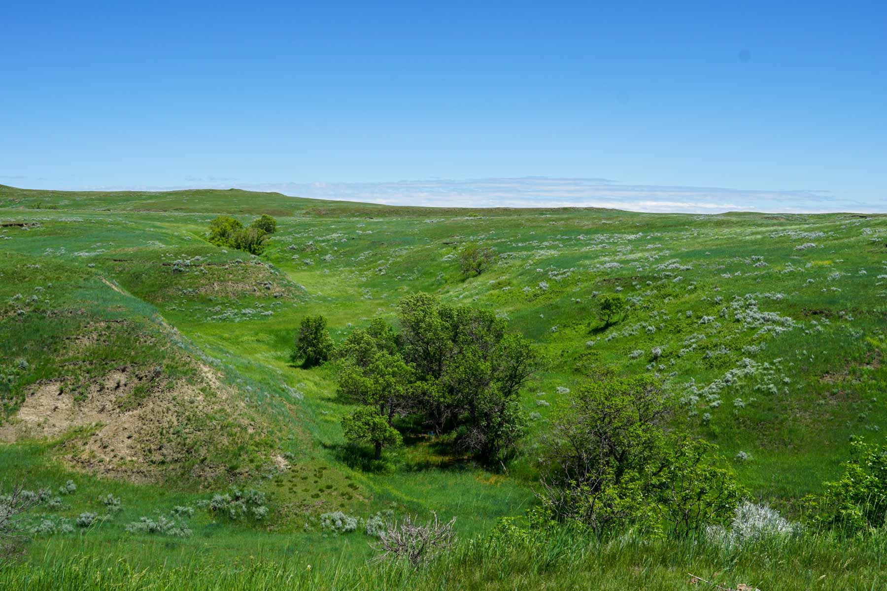 ZX Ranch - Sold - South Dakota - Hall and Hall