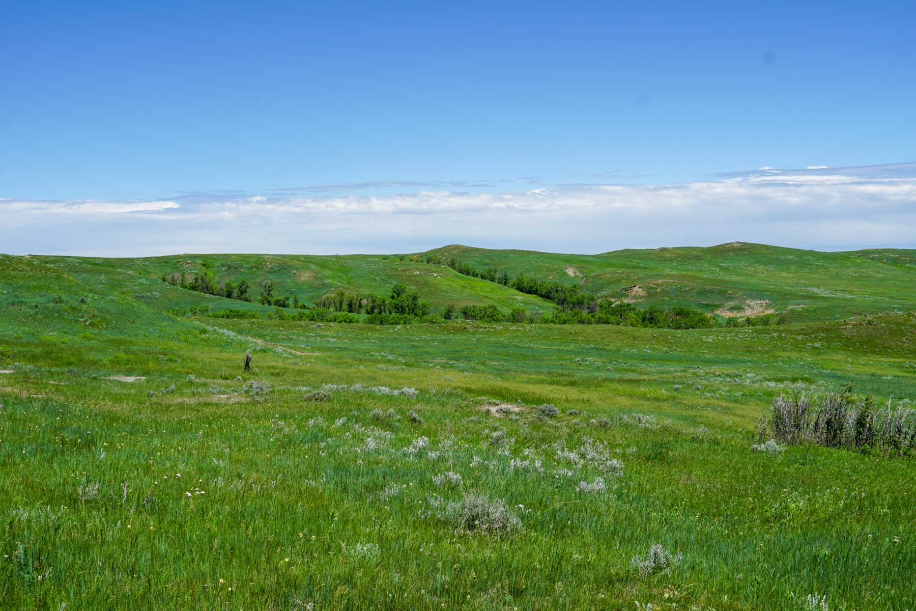 ZX Ranch - Sold - South Dakota - Hall and Hall