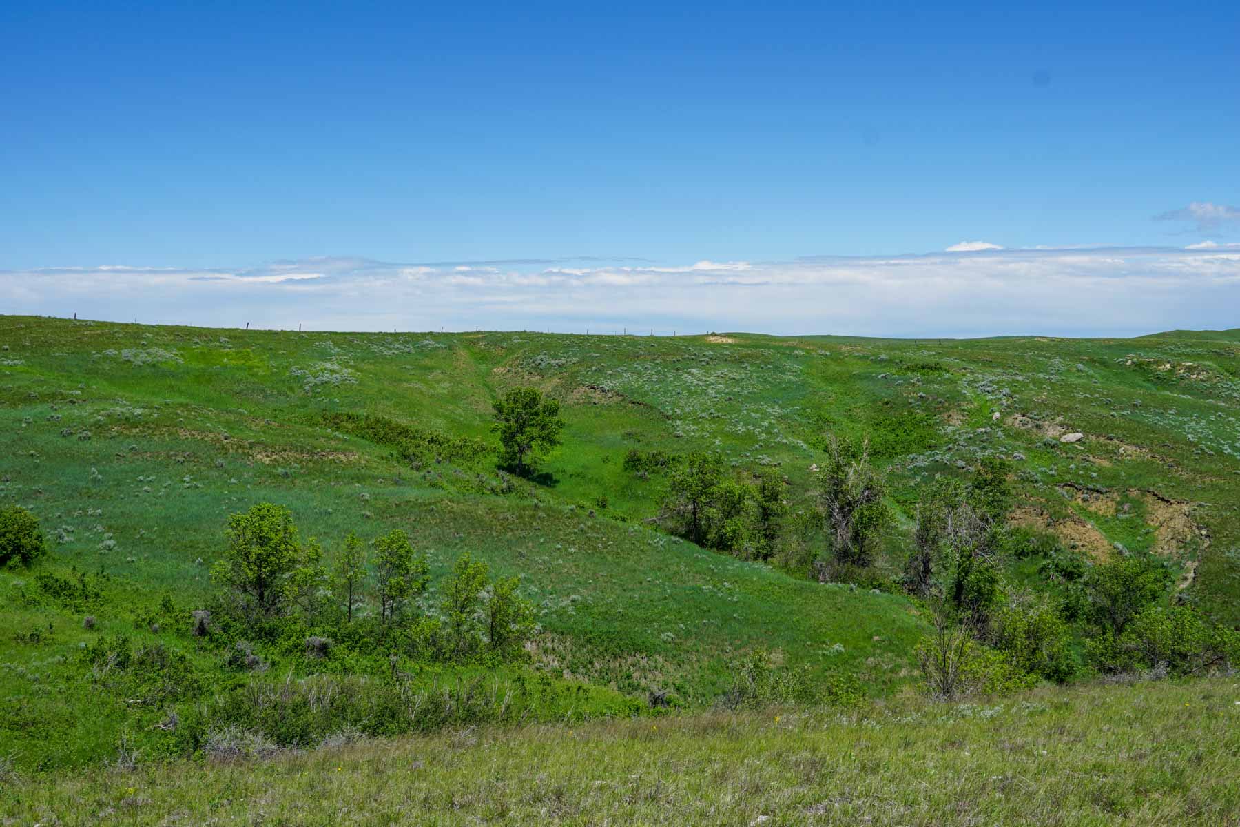 ZX Ranch - Sold - South Dakota - Hall and Hall