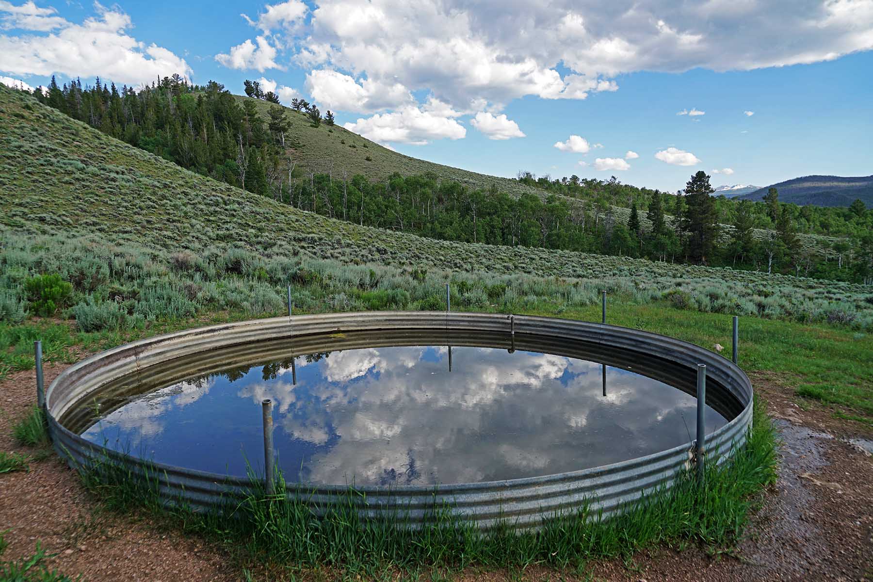 Diamond Tail Ranch - Sold - Colorado - Hall and Hall