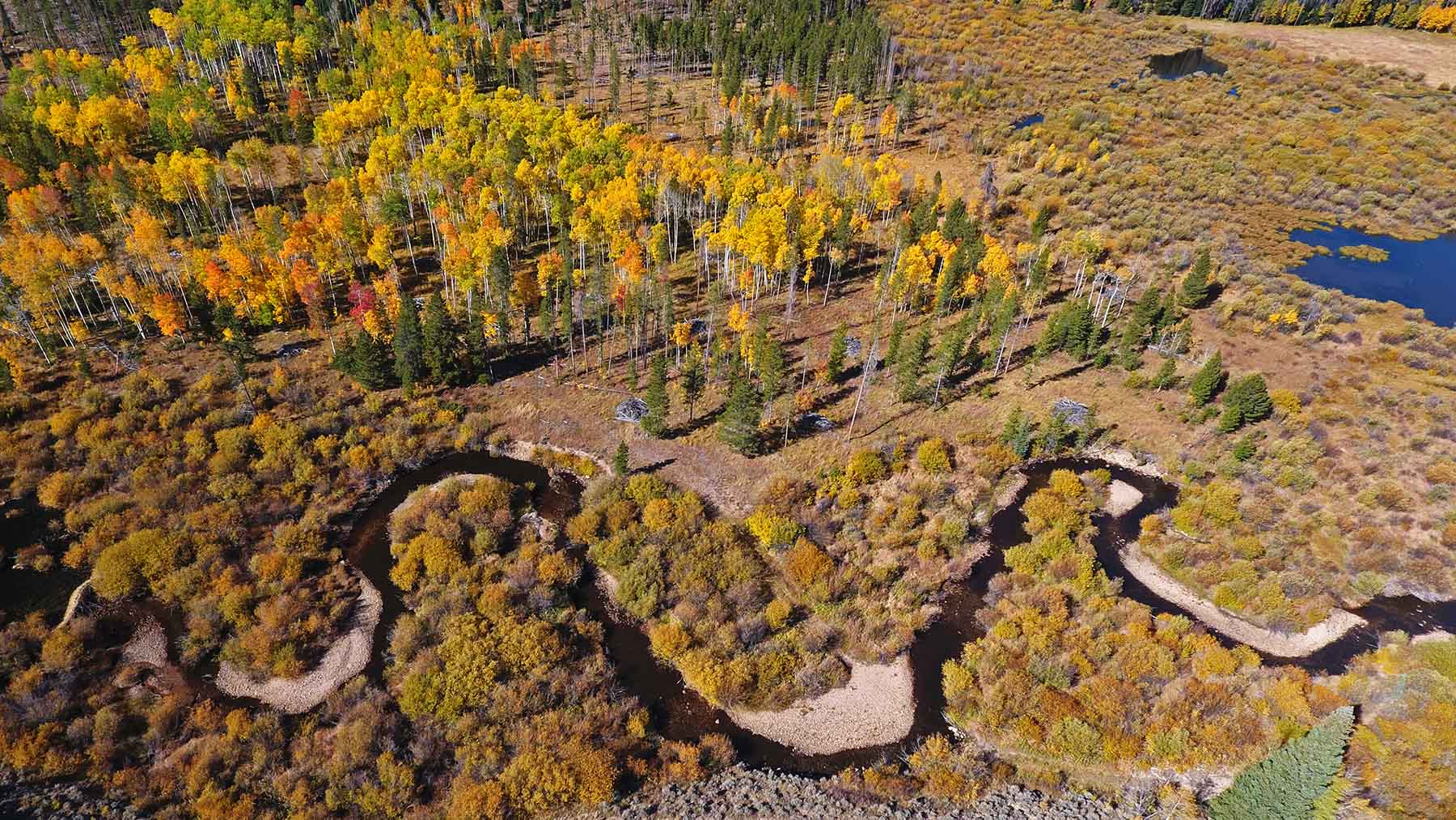 Diamond Tail Ranch - Sold - Colorado - Hall and Hall