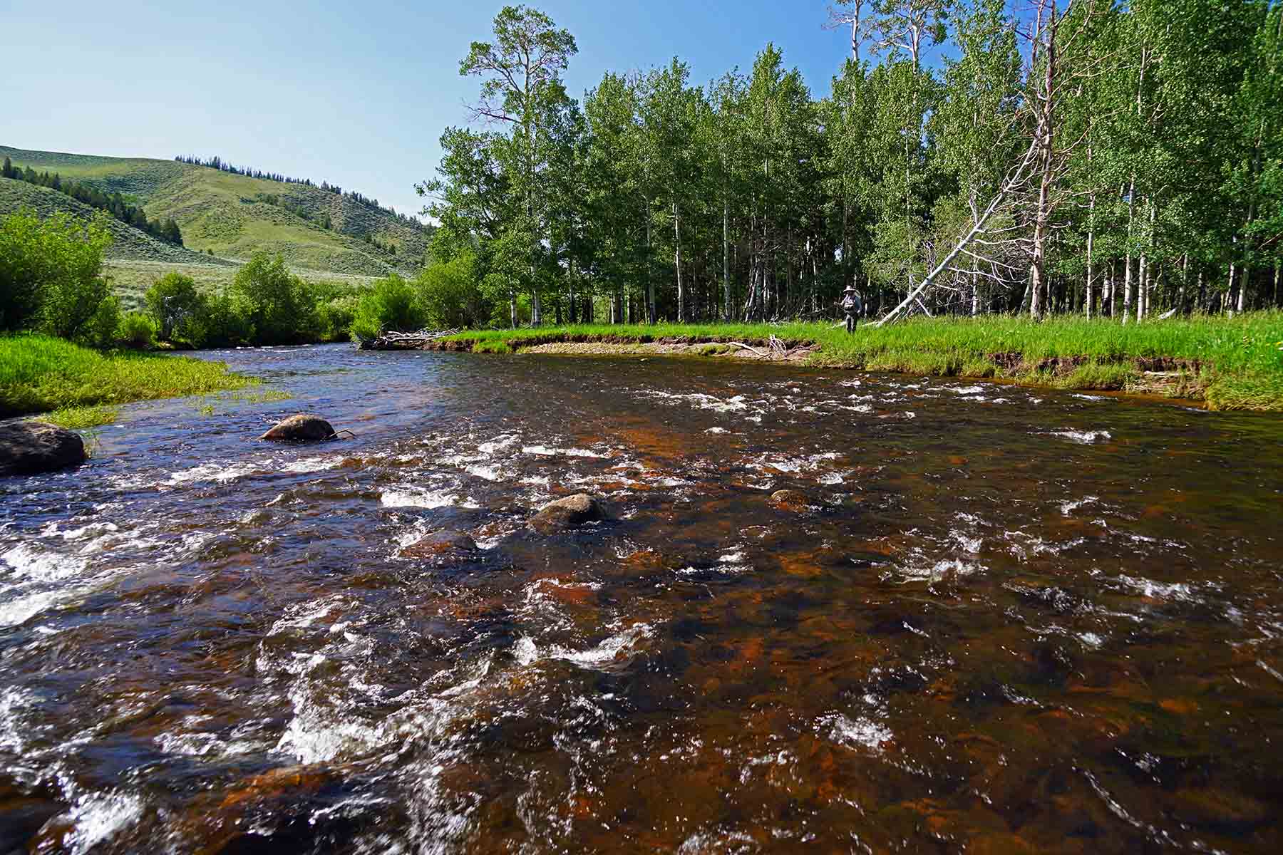 Diamond Tail Ranch - Sold - Colorado - Hall and Hall