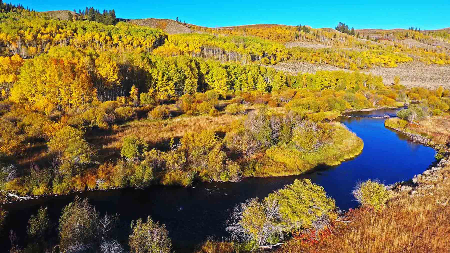 Diamond Tail Ranch - Sold - Colorado - Hall and Hall
