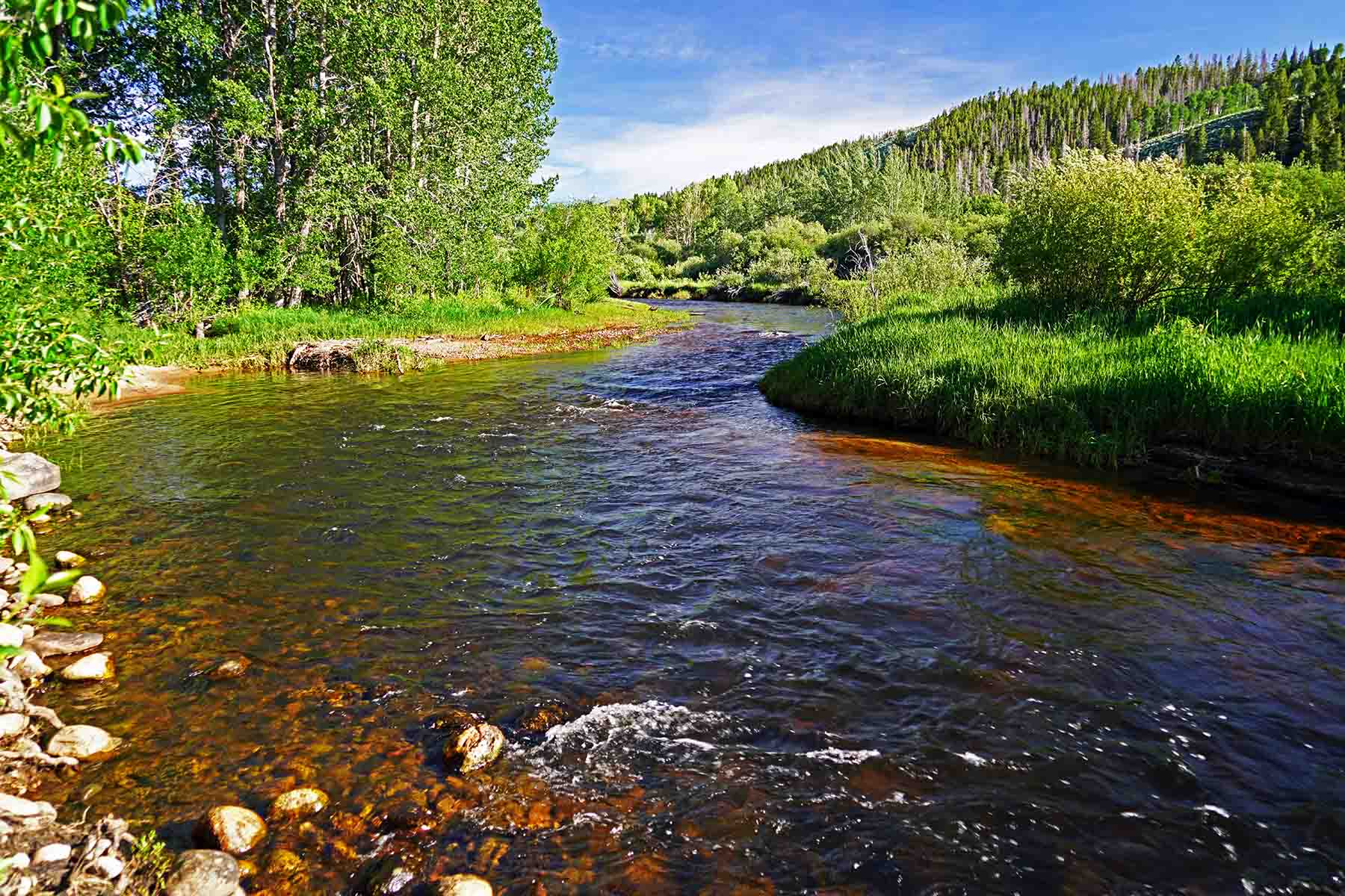 Diamond Tail Ranch - Sold - Colorado - Hall and Hall