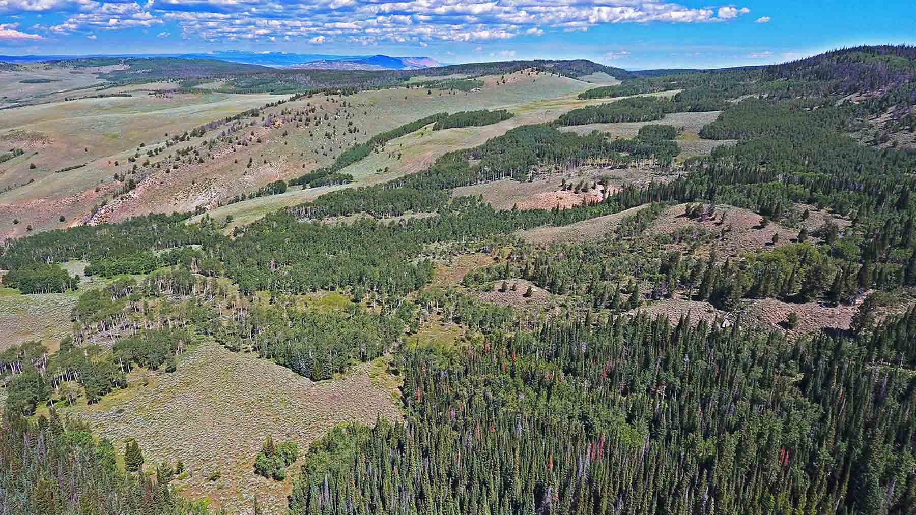 Diamond Tail Ranch - Sold - Colorado - Hall and Hall