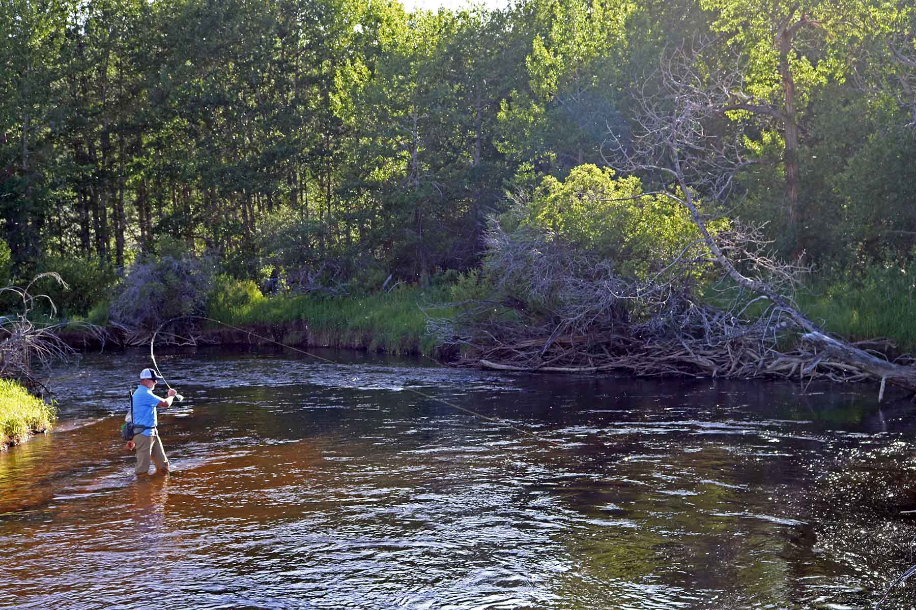 Diamond Tail Ranch - Sold - Colorado - Hall and Hall