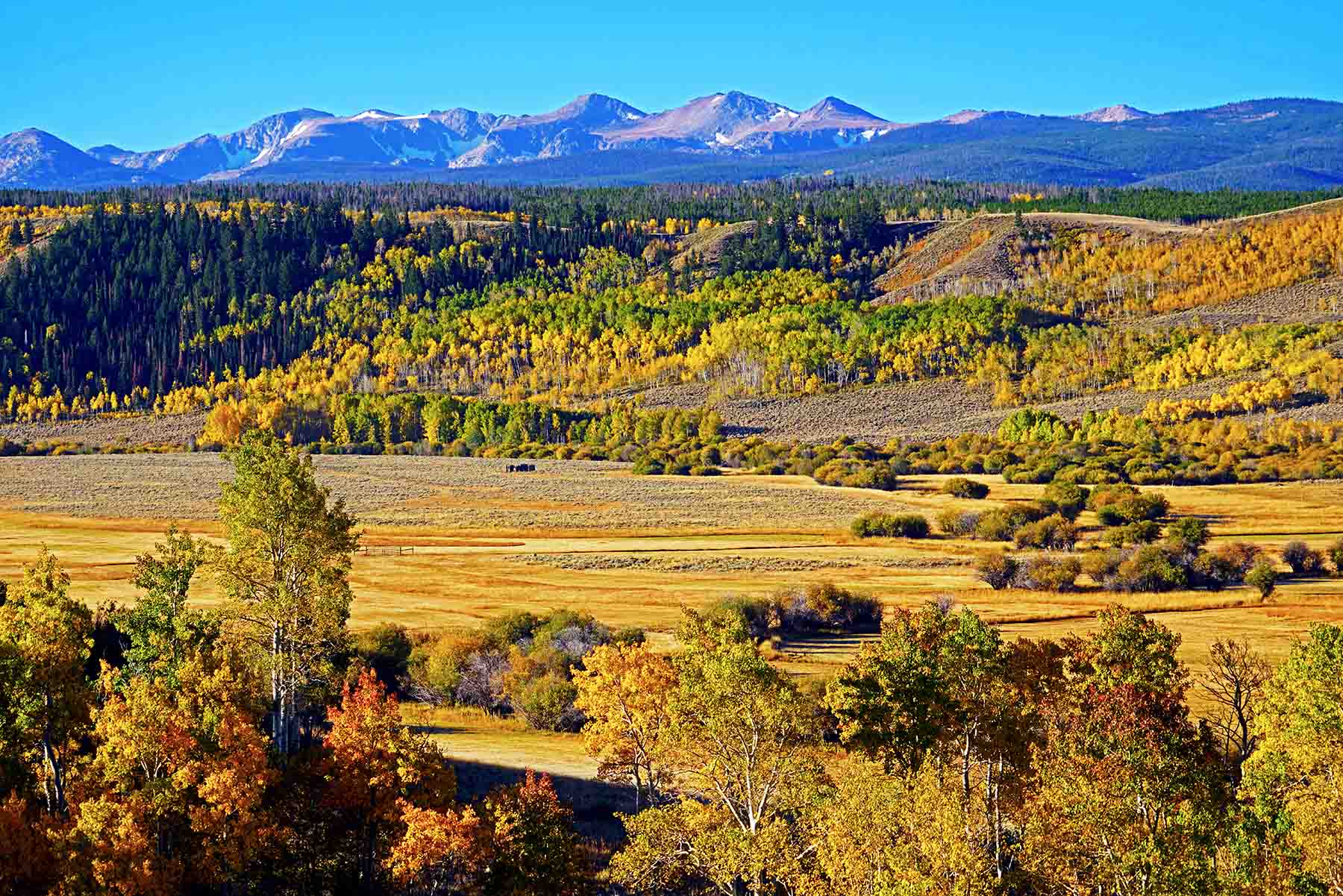 Diamond Tail Ranch - Sold - Colorado - Hall and Hall