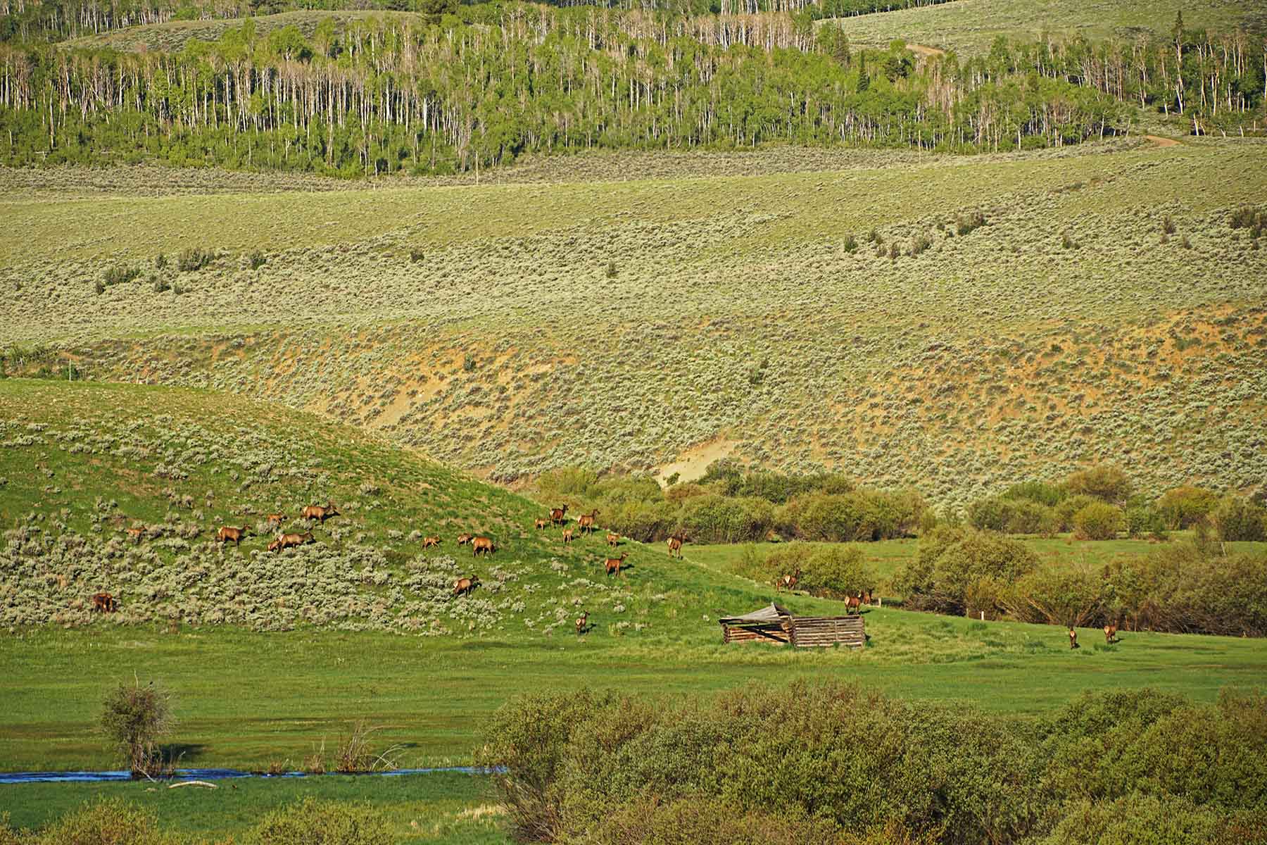Diamond Tail Ranch - Sold - Colorado - Hall and Hall