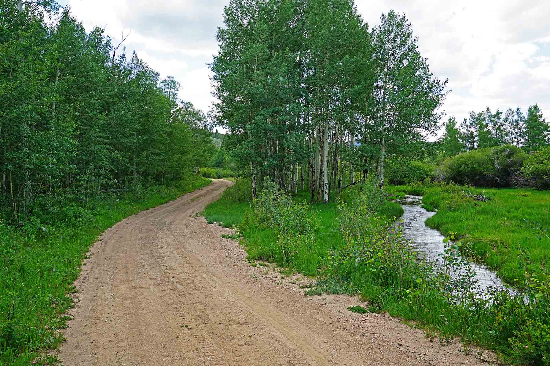 Diamond Tail Ranch - Sold - Colorado - Hall and Hall