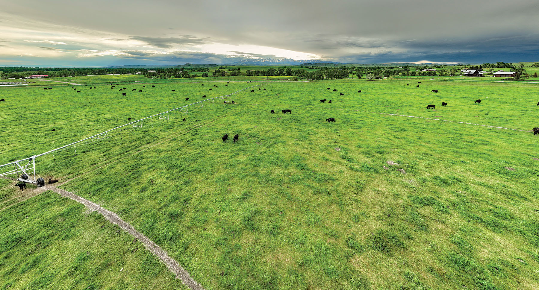Sweet Grass Farm on the Yellowstone - Sold - Montana - Hall and Hall