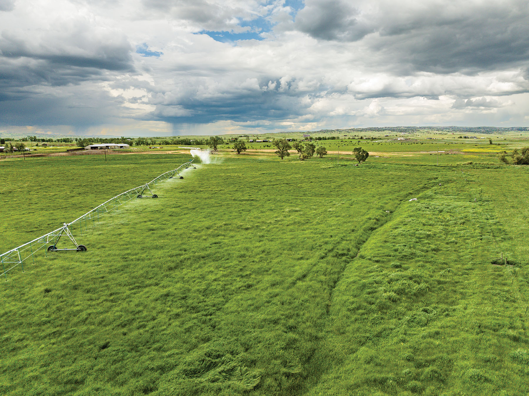 Sweet Grass Farm on the Yellowstone - Sold - Montana - Hall and Hall