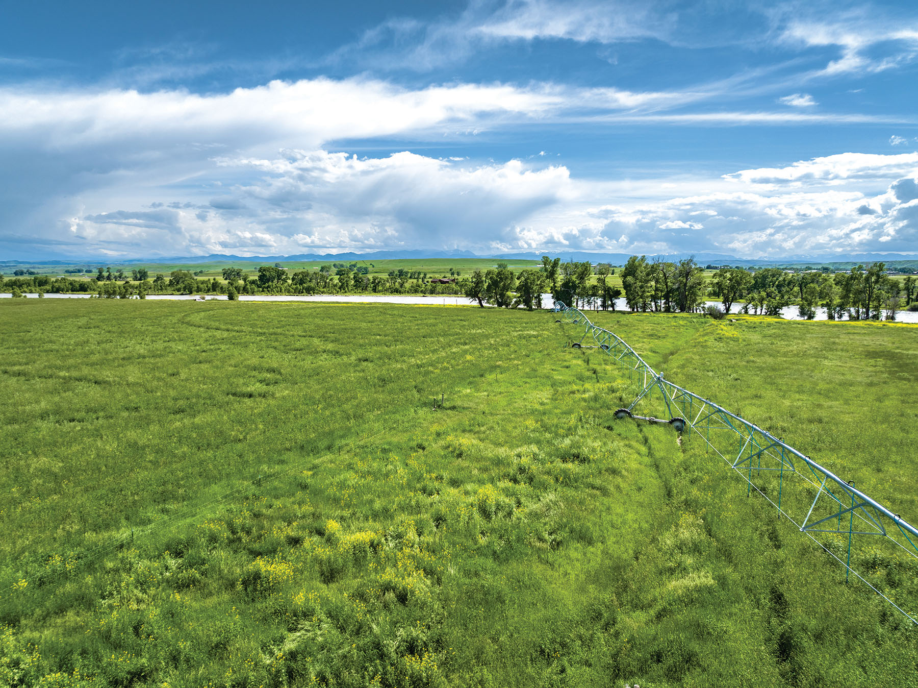 Sweet Grass Farm on the Yellowstone - Sold - Montana - Hall and Hall