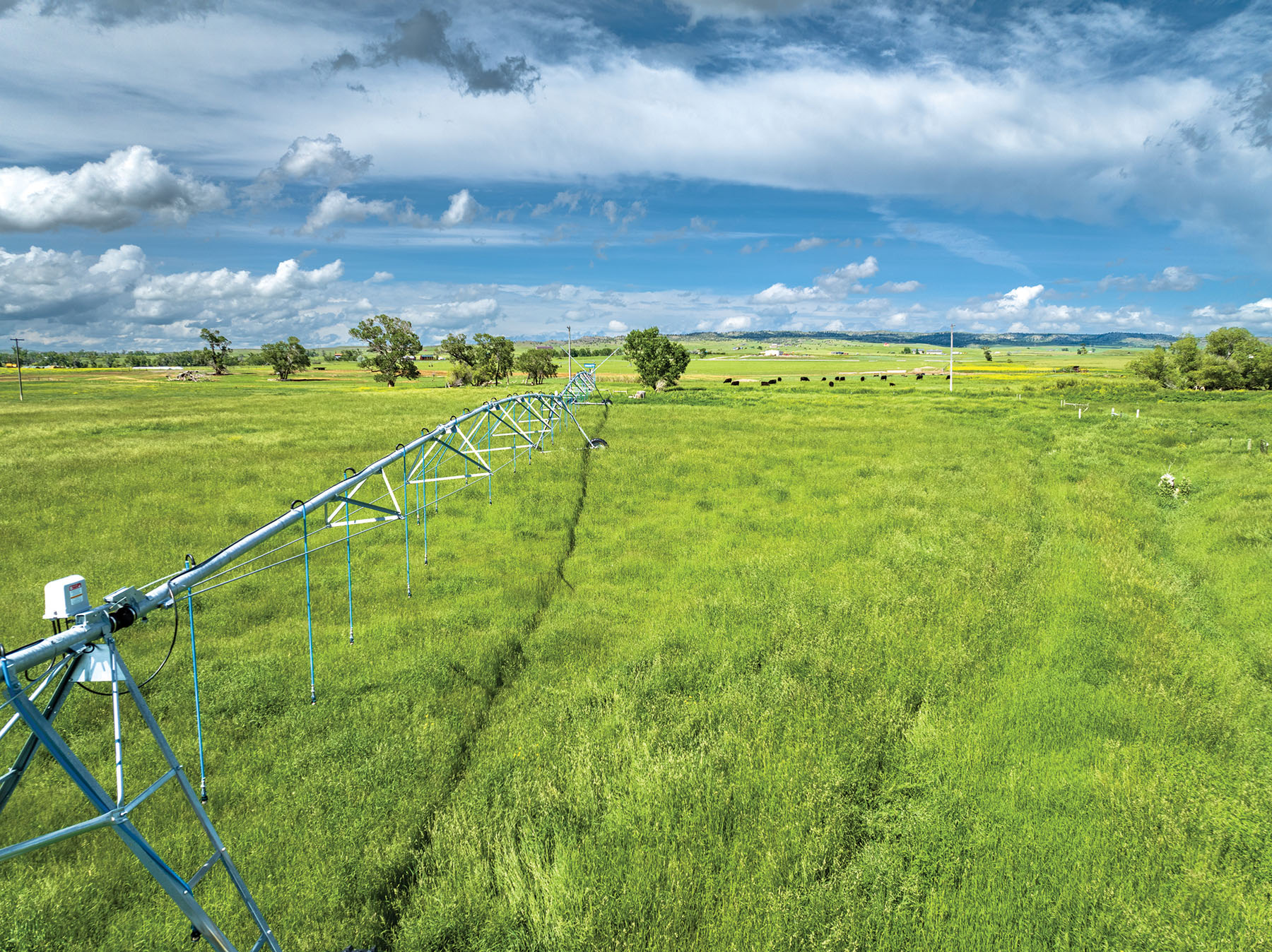 Sweet Grass Farm on the Yellowstone - Sold - Montana - Hall and Hall