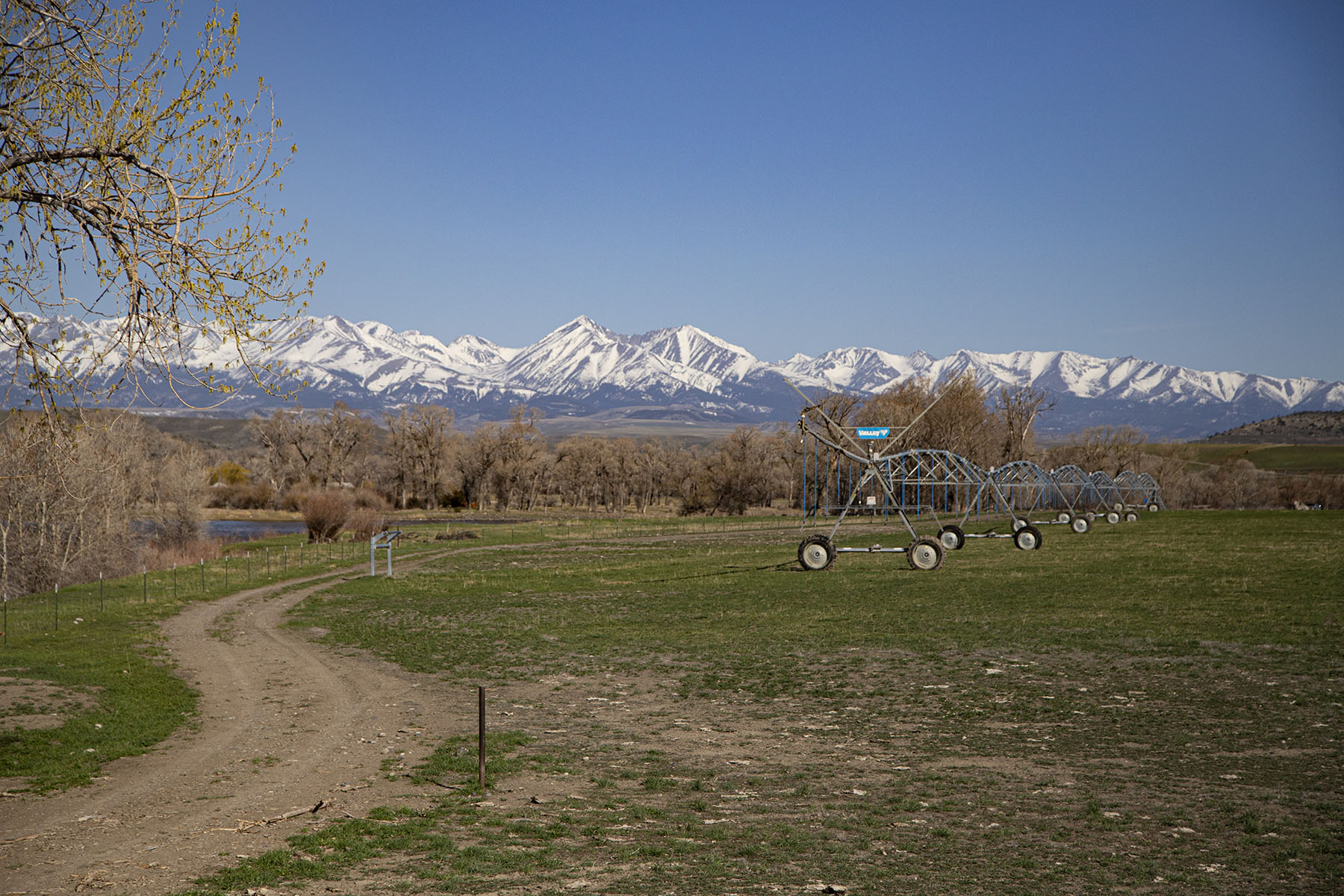 Sweet Grass Farm on the Yellowstone - Sold - Montana - Hall and Hall