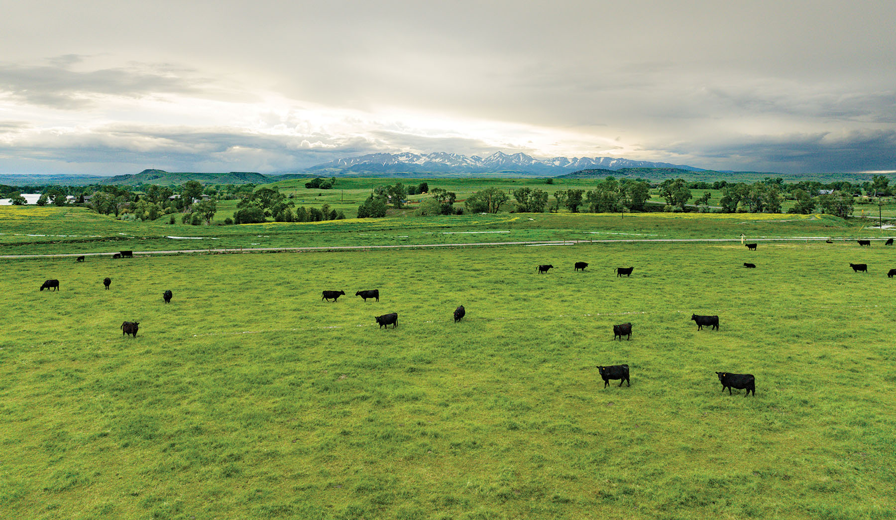 Sweet Grass Farm on the Yellowstone - Sold - Montana - Hall and Hall
