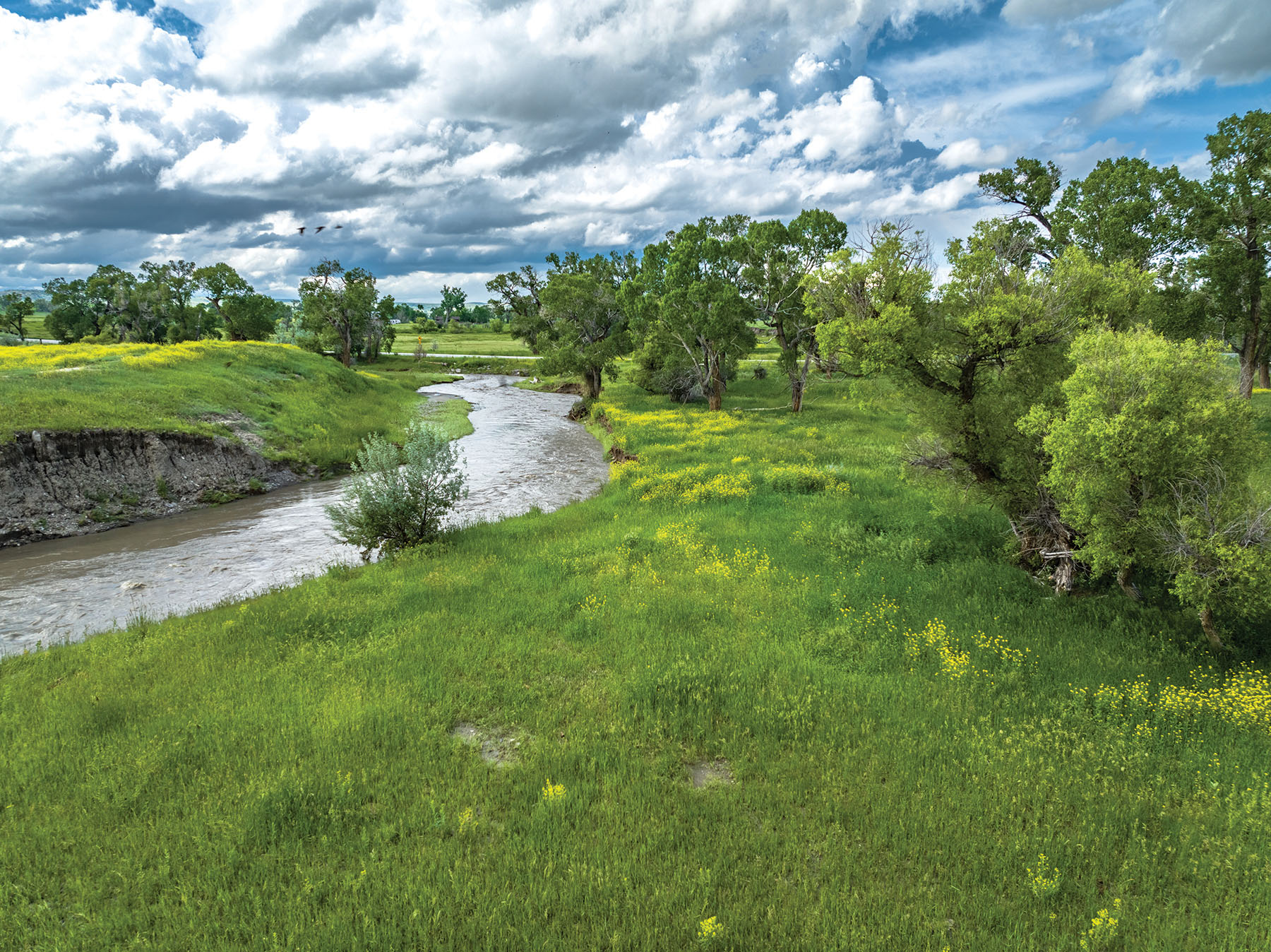 Sweet Grass Farm on the Yellowstone - Sold - Montana - Hall and Hall