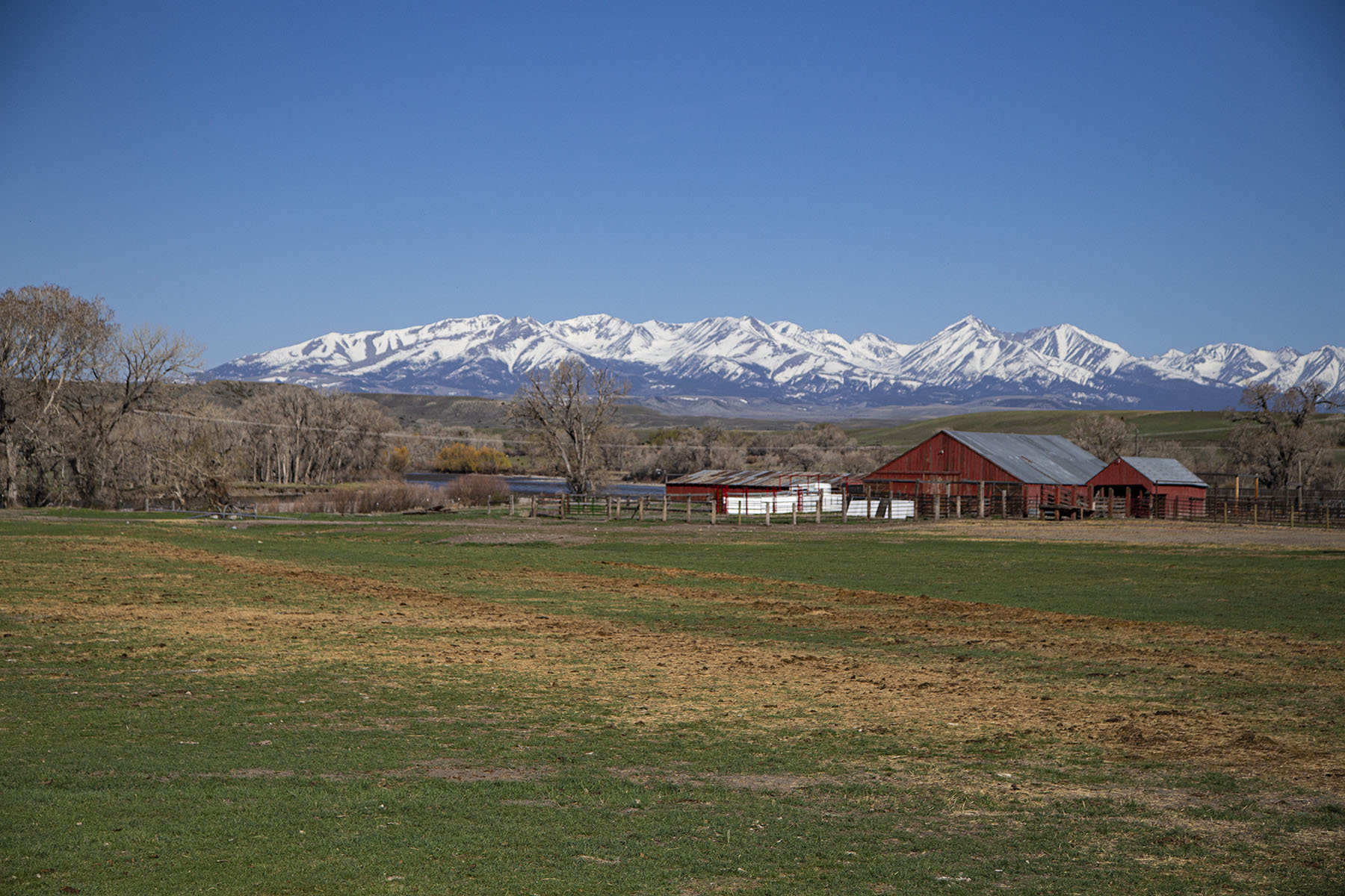 Sweet Grass Farm on the Yellowstone - Sold - Montana - Hall and Hall