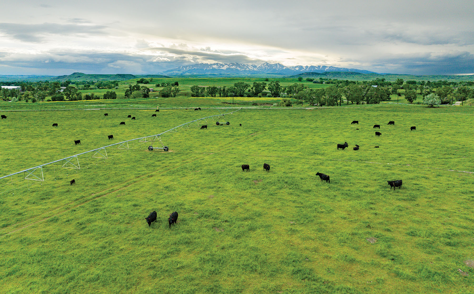 Sweet Grass Farm on the Yellowstone - Sold - Montana - Hall and Hall