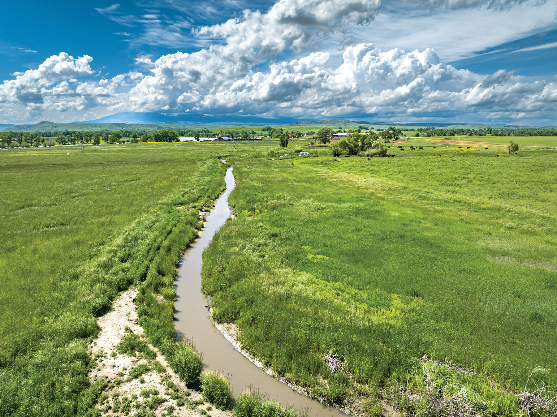 Sweet Grass Farm on the Yellowstone - Sold - Montana - Hall and Hall