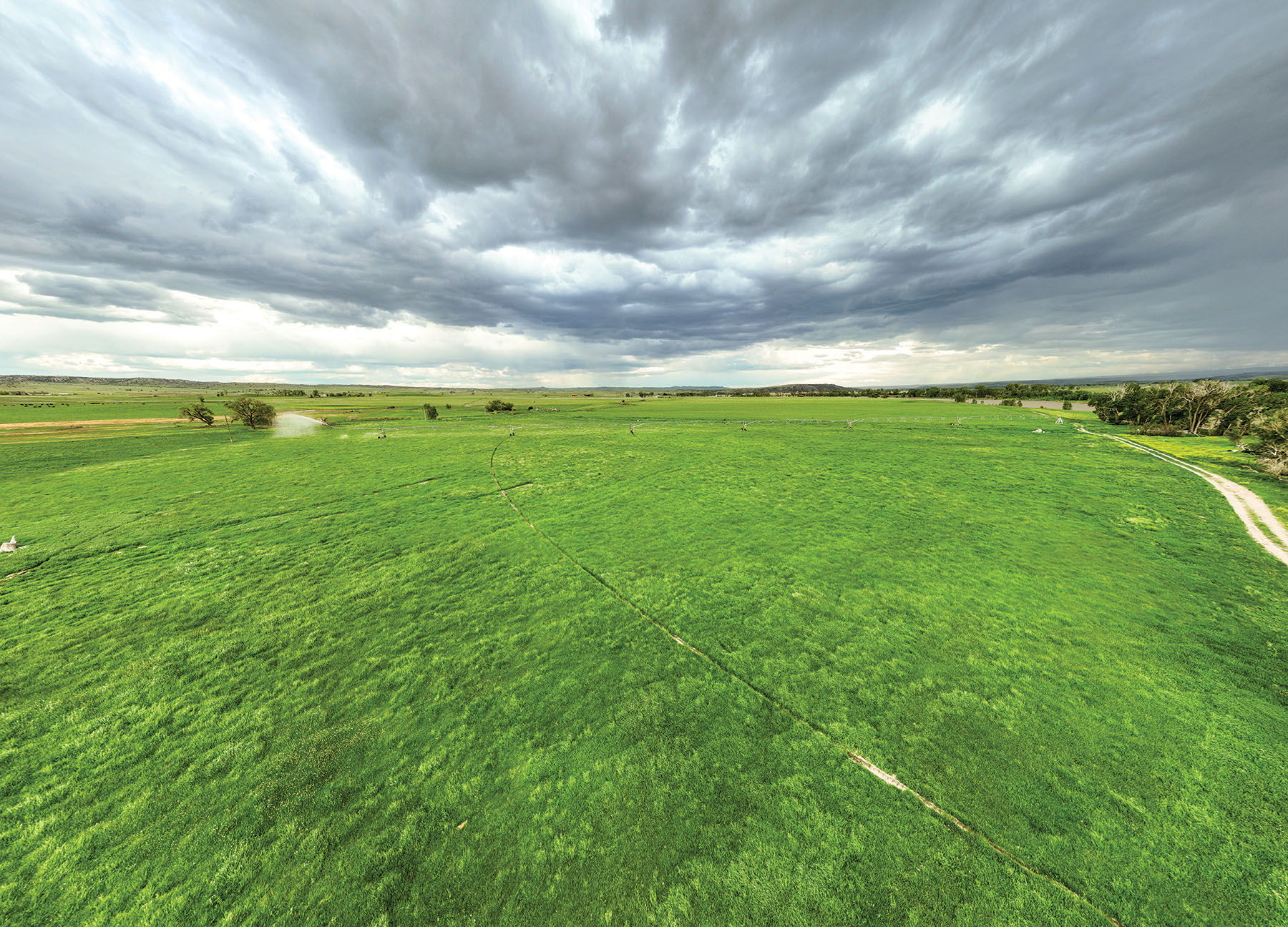 Sweet Grass Farm on the Yellowstone - Sold - Montana - Hall and Hall