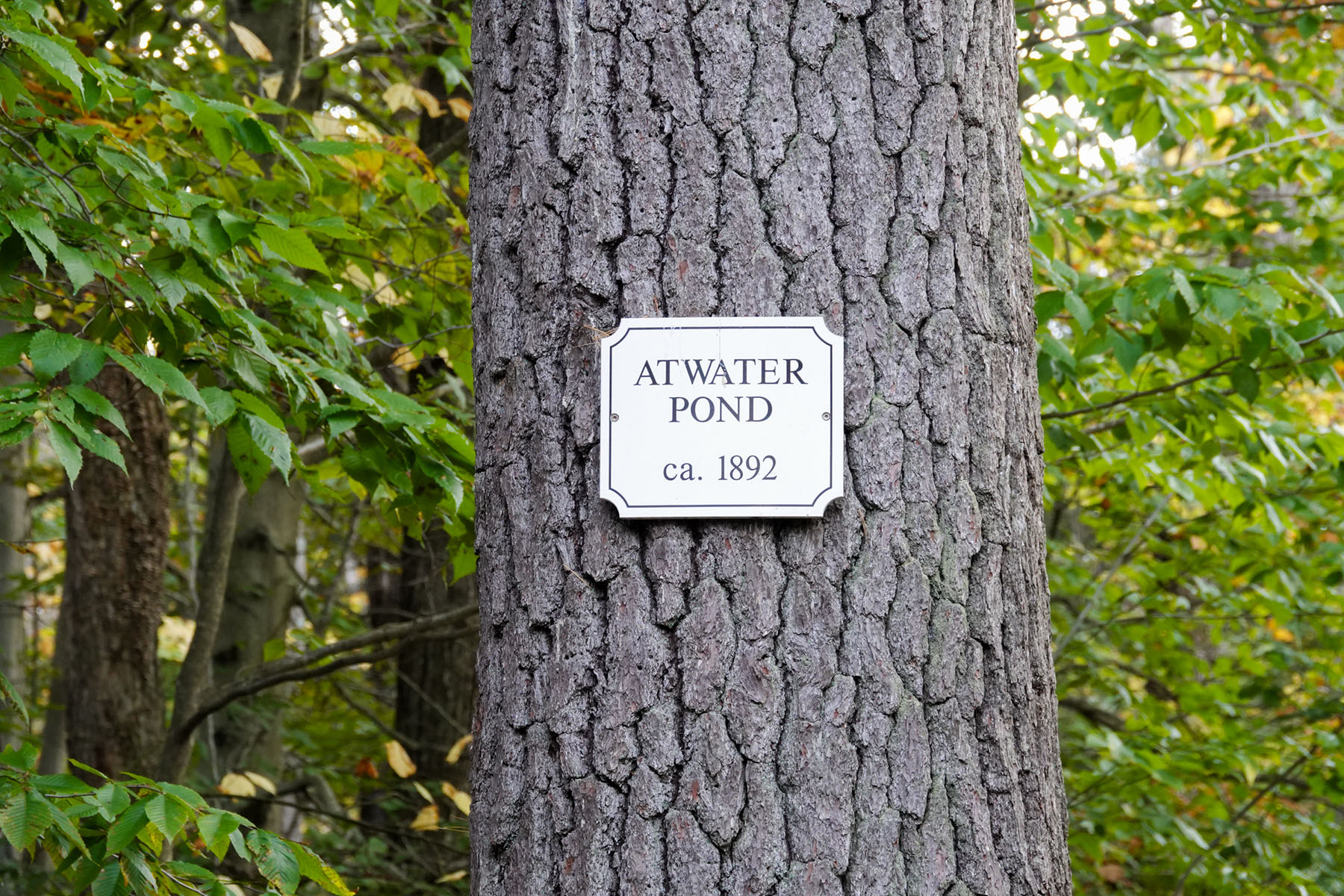 Atwater Pond - For Sale - Massachusetts - Hall and Hall