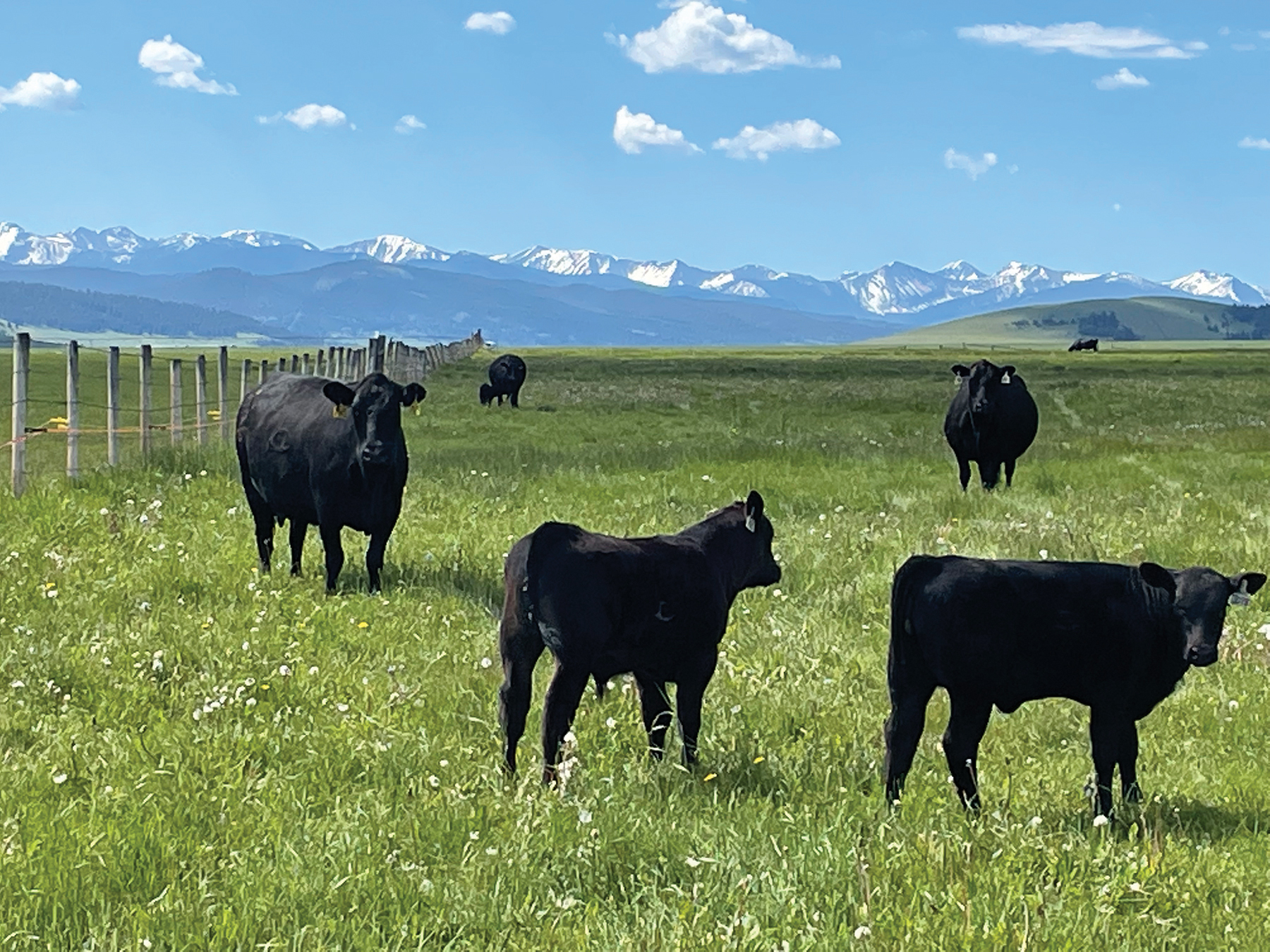 Rocking Chair Ranch - For Sale - Montana - Hall and Hall