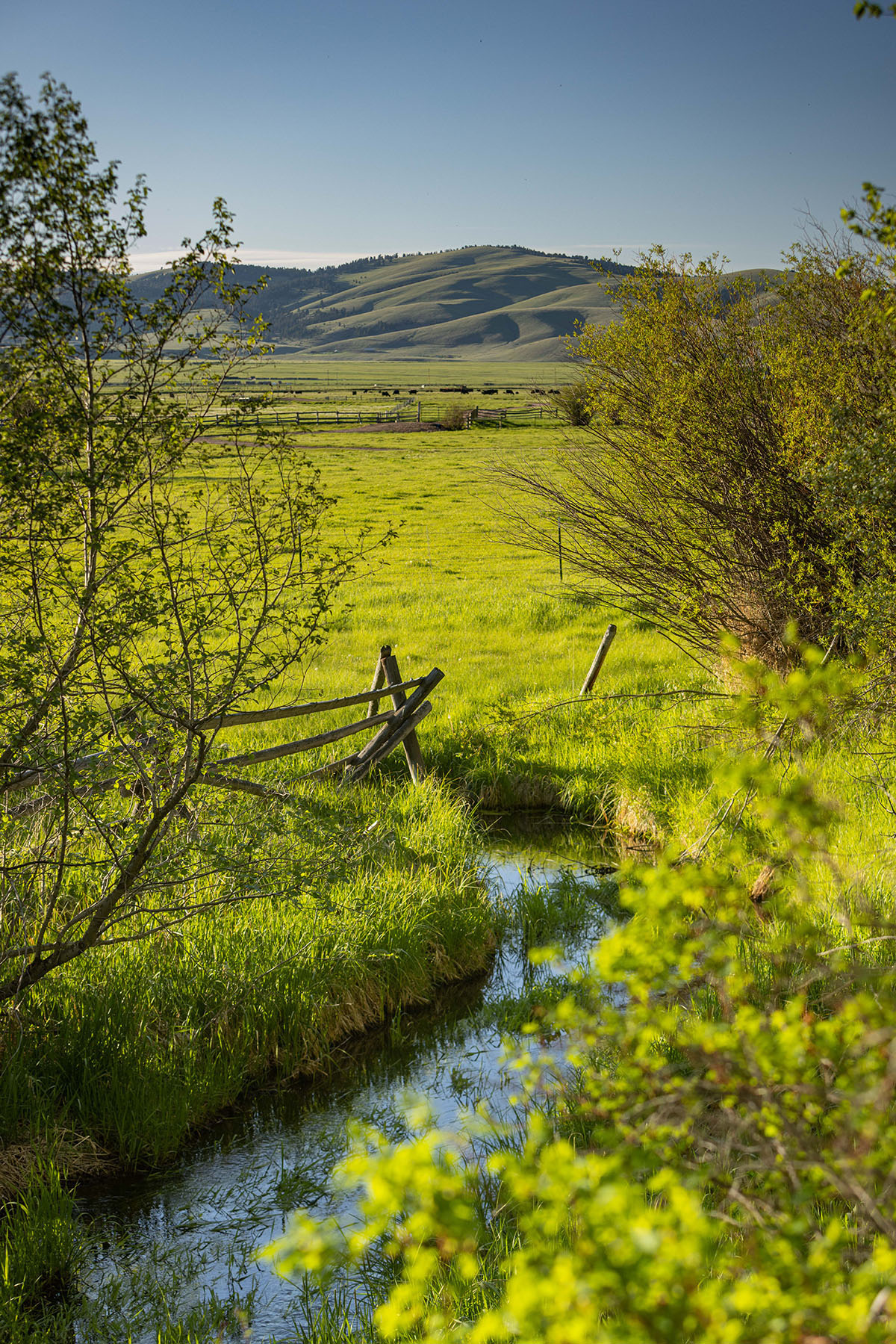 Rocking Chair Ranch - For Sale - Montana - Hall and Hall
