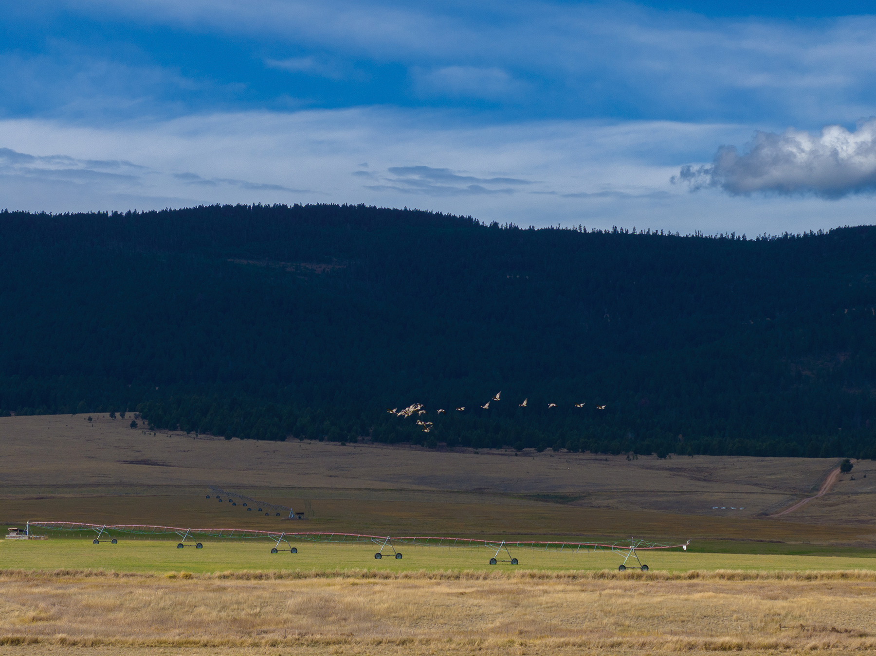 Rocking Chair Ranch - For Sale - Montana - Hall and Hall