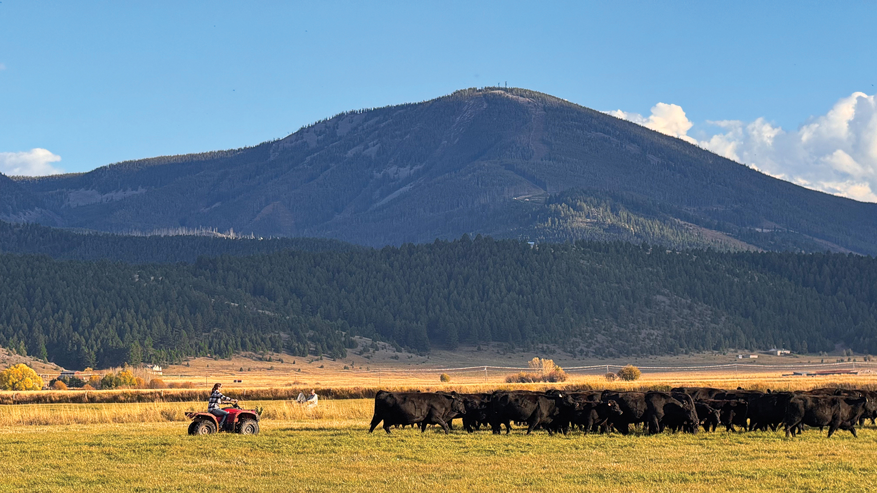 Rocking Chair Ranch - For Sale - Montana - Hall and Hall