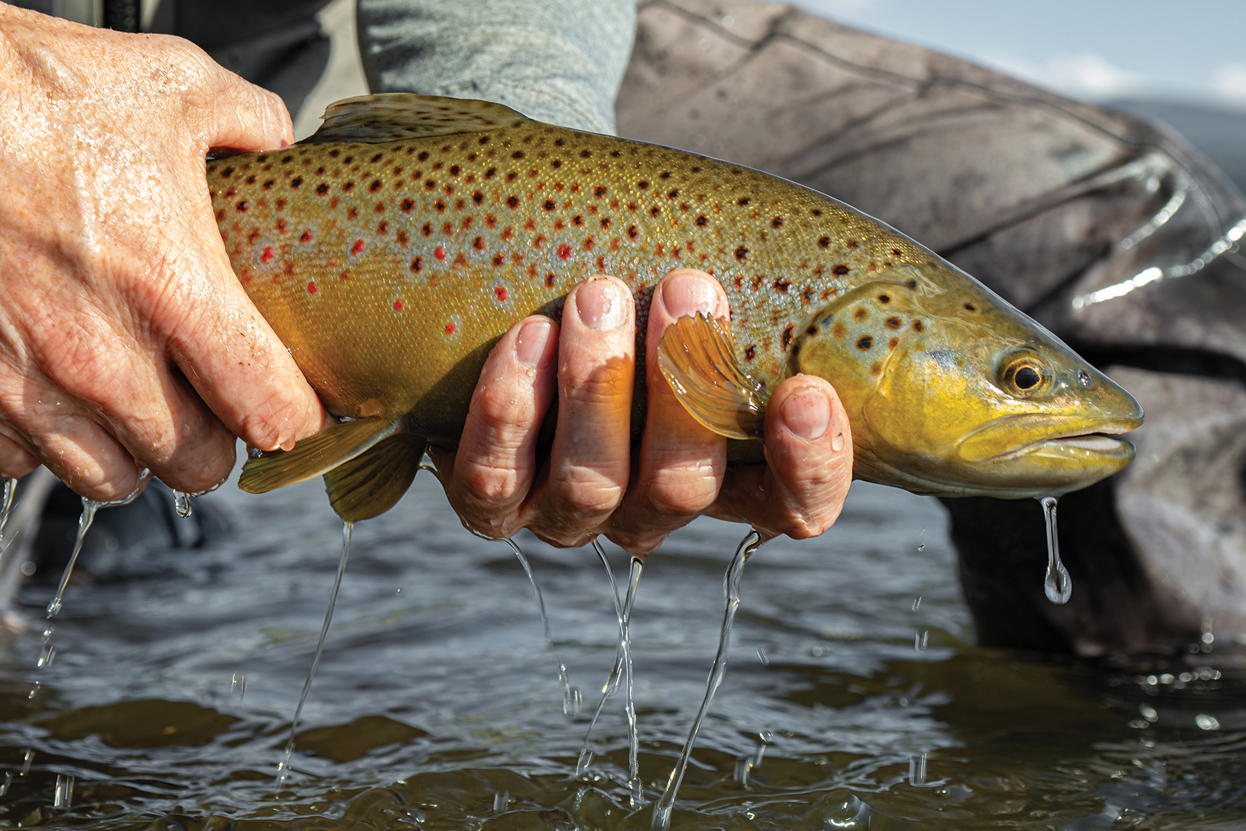 Rocking Chair Ranch - Sold - Montana - Hall and Hall
