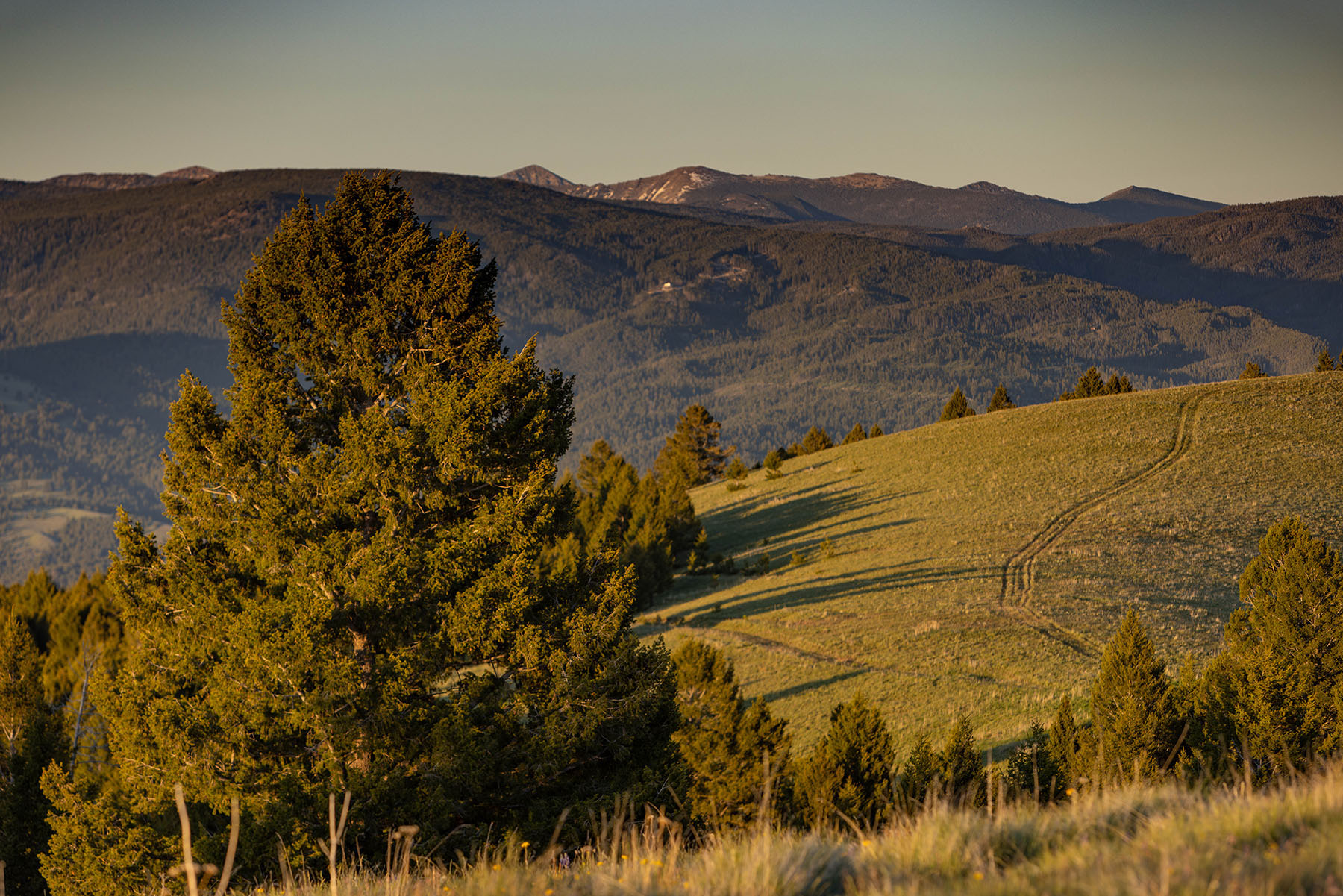 Rocking Chair Ranch - For Sale - Montana - Hall and Hall