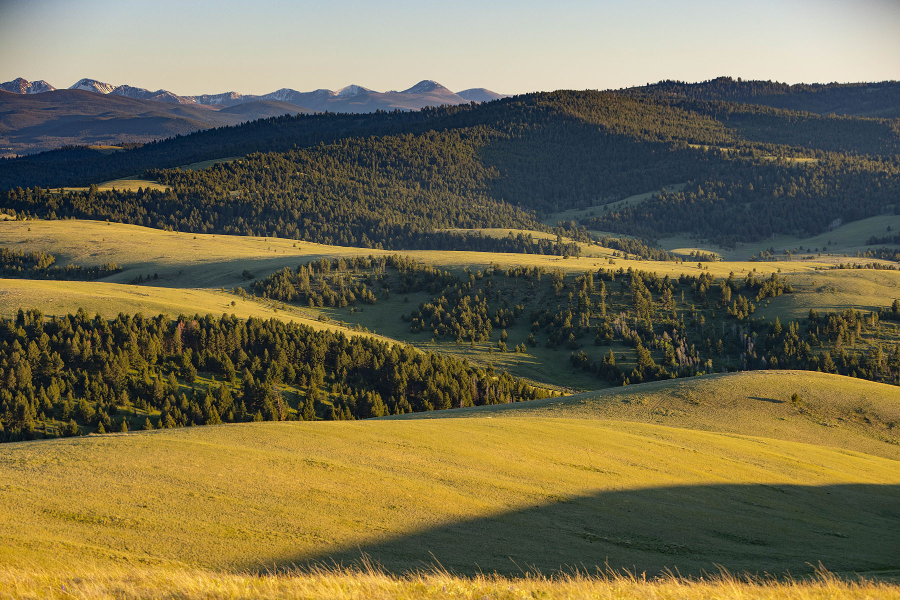 Rocking Chair Ranch - For Sale - Montana - Hall and Hall