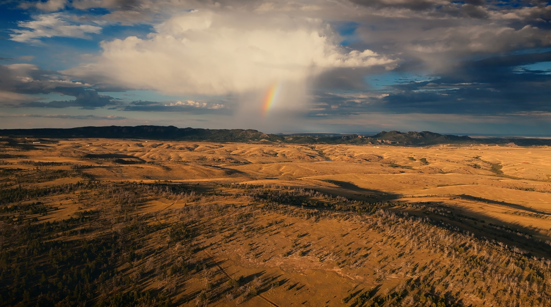 Old Elk Ranch - For Sale - Wyoming - Hall and Hall