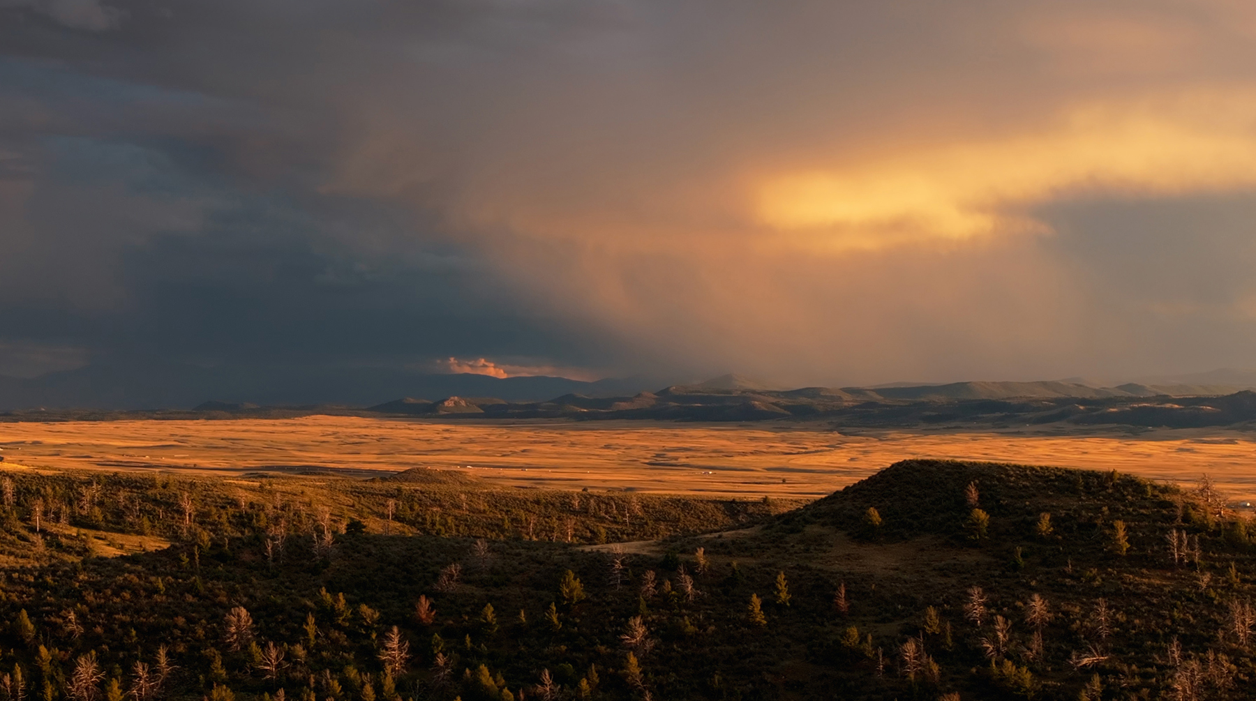 Old Elk Ranch - For Sale - Wyoming - Hall and Hall