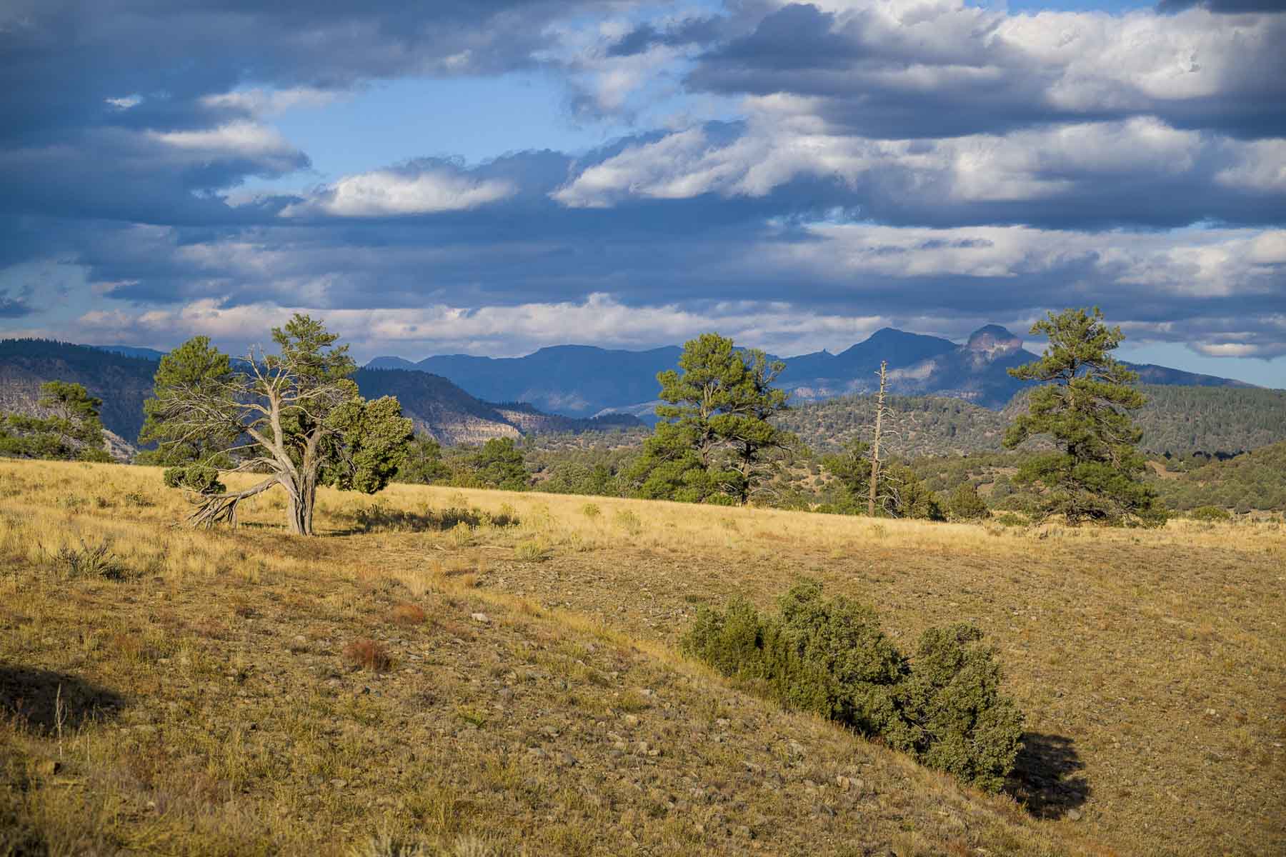 Diamond M Bar Ranch - For Sale - Colorado - Hall and Hall