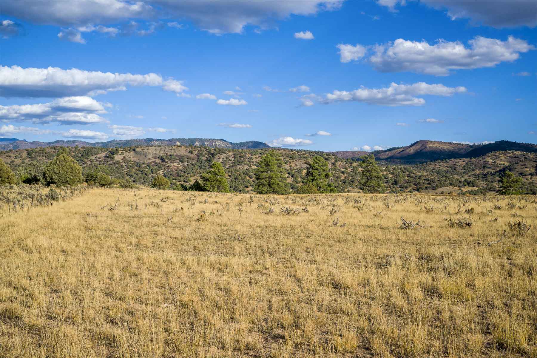 Diamond M Bar Ranch - For Sale - Colorado - Hall and Hall