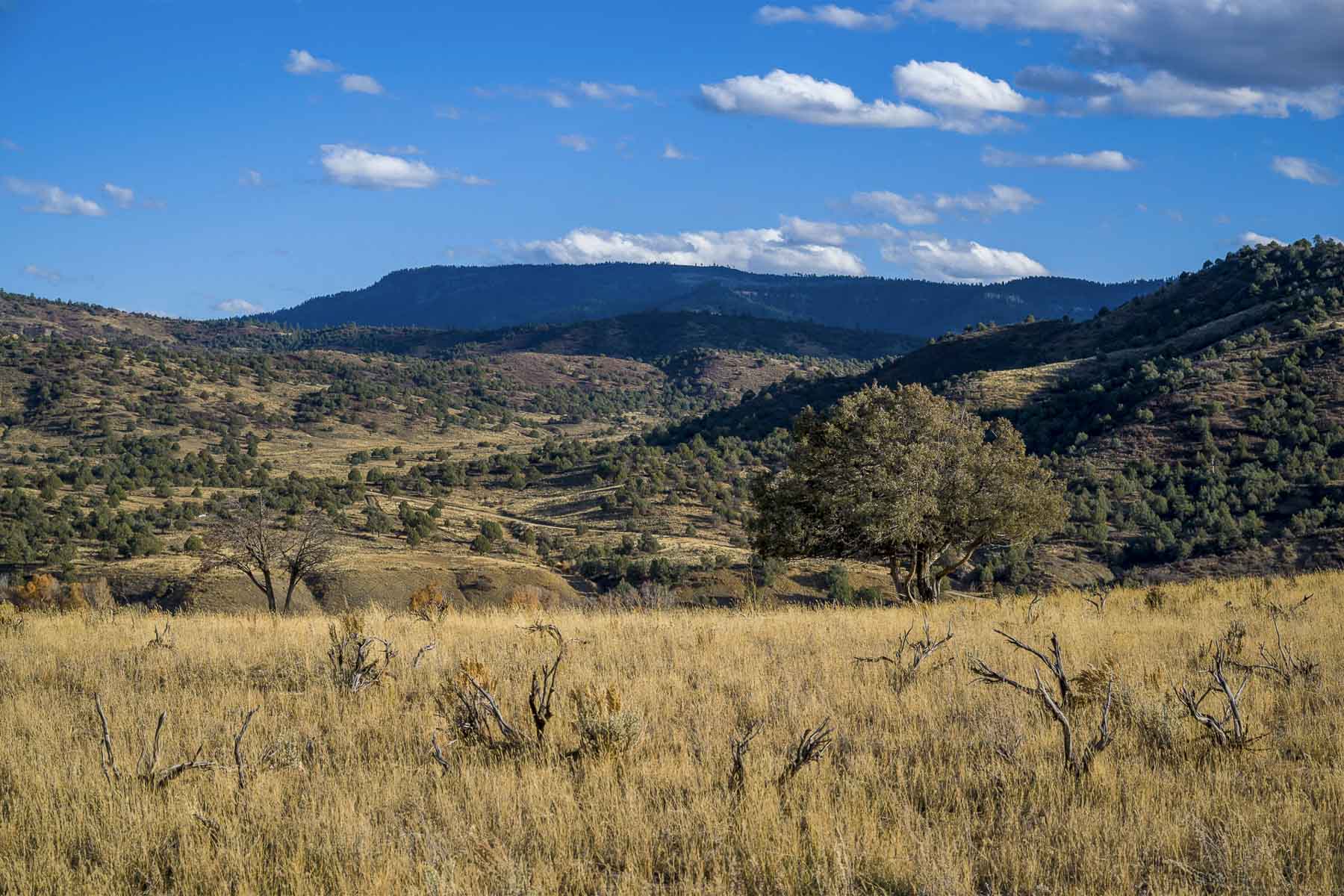 Diamond M Bar Ranch - For Sale - Colorado - Hall and Hall