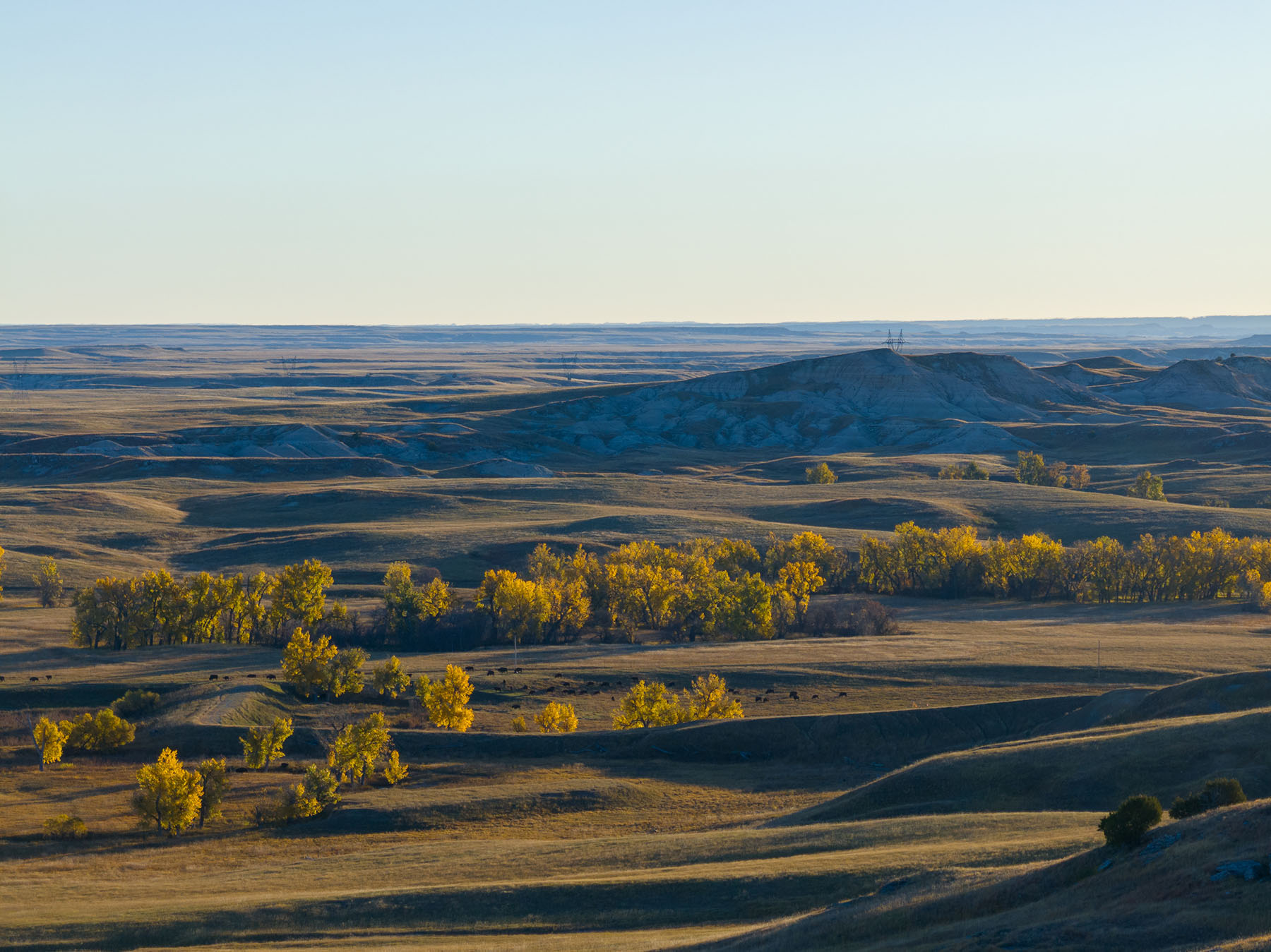 Dakota Partnership Ranch - Sold - South Dakota - Hall and Hall
