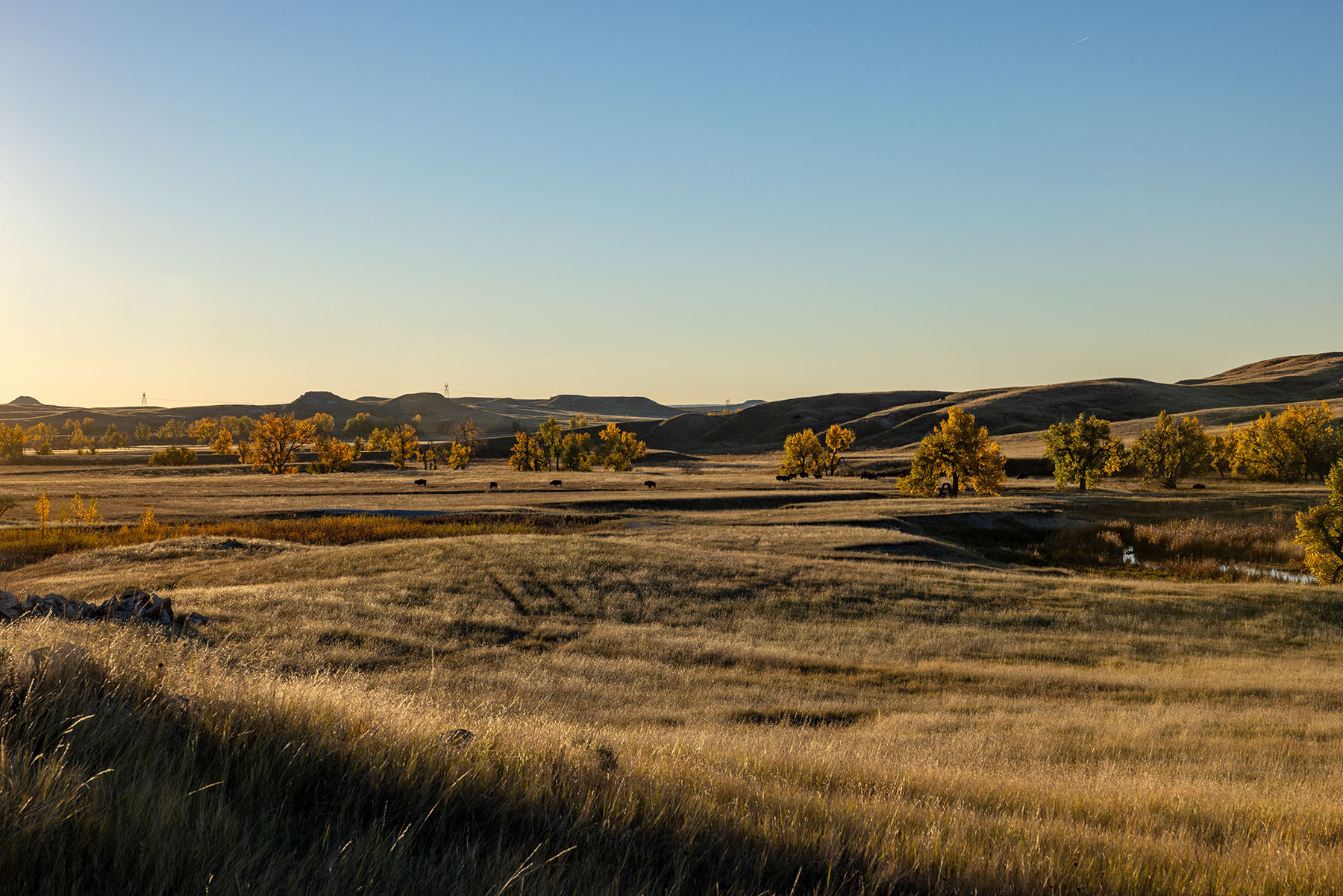 Dakota Partnership Ranch - Sold - South Dakota - Hall and Hall