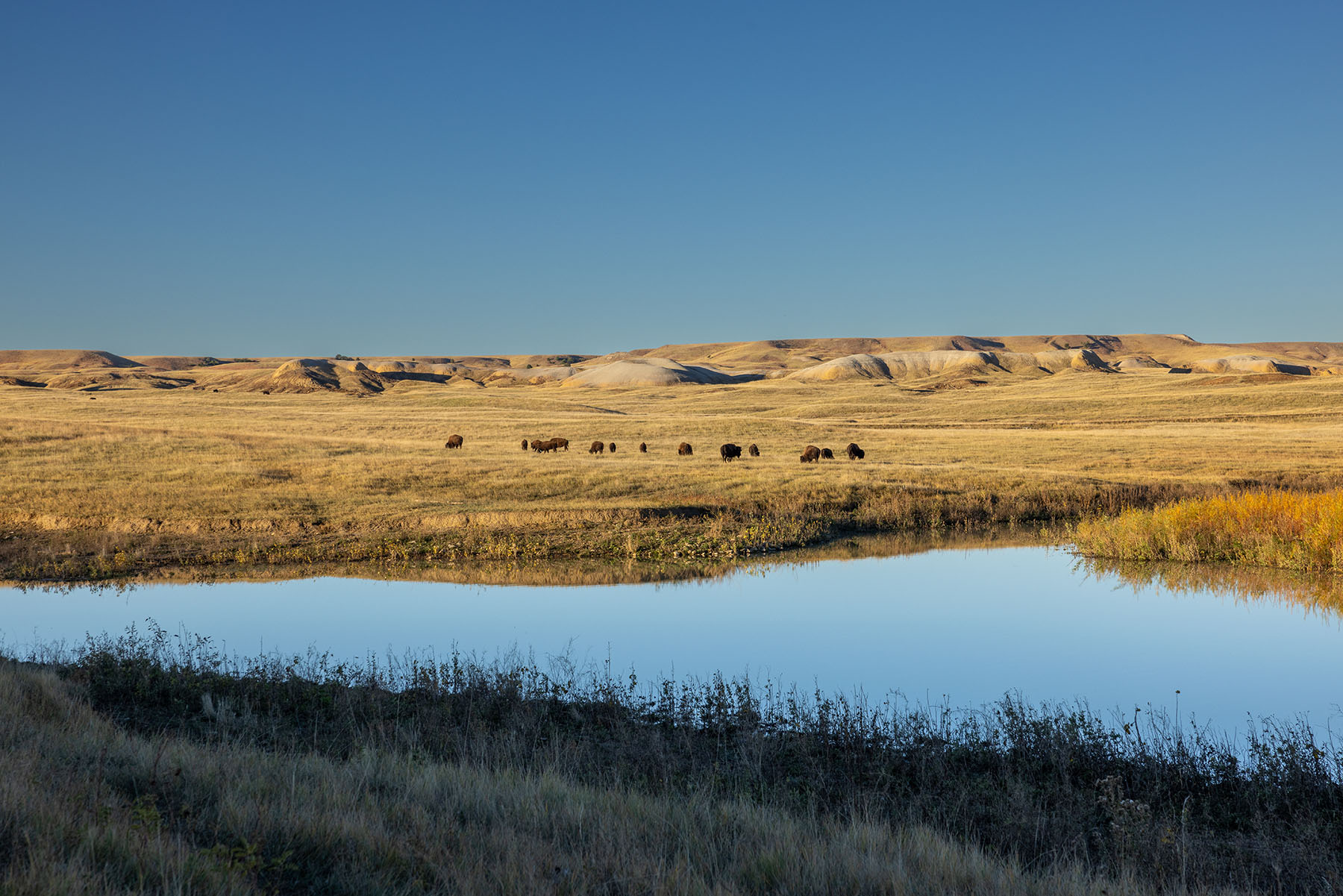 Dakota Partnership Ranch - Sold - South Dakota - Hall and Hall