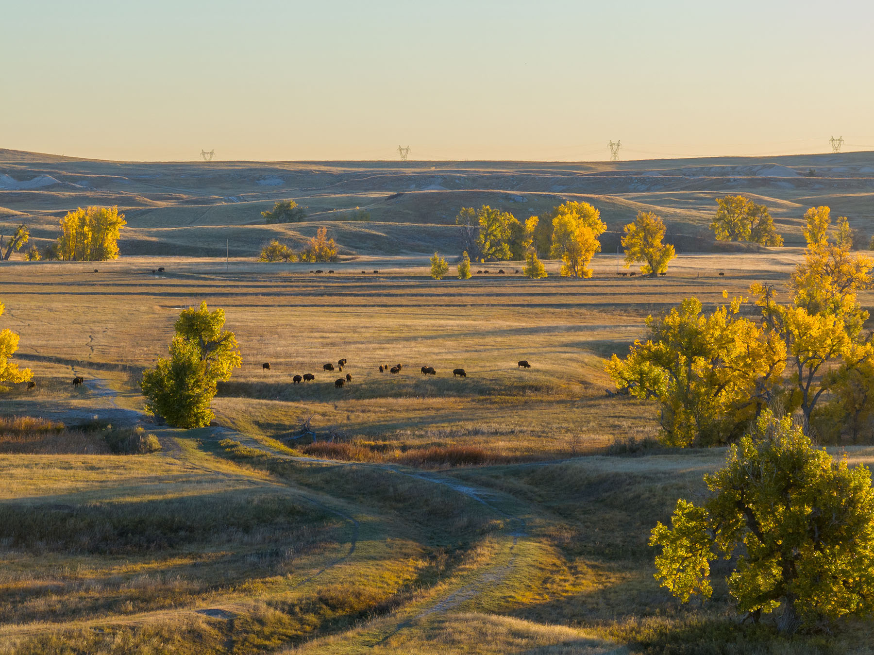 Dakota Partnership Ranch - Sold - South Dakota - Hall and Hall