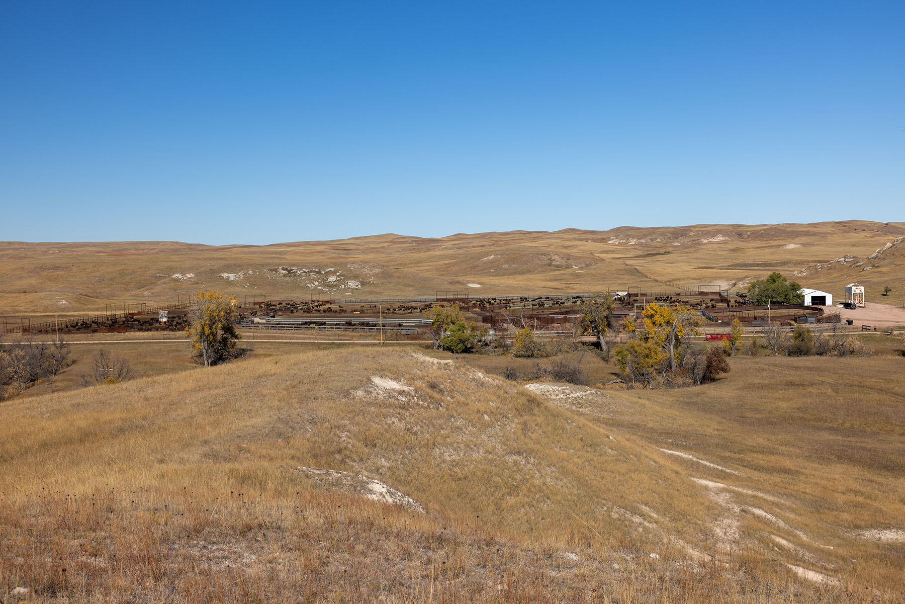 Dakota Partnership Ranch - Sold - South Dakota - Hall and Hall