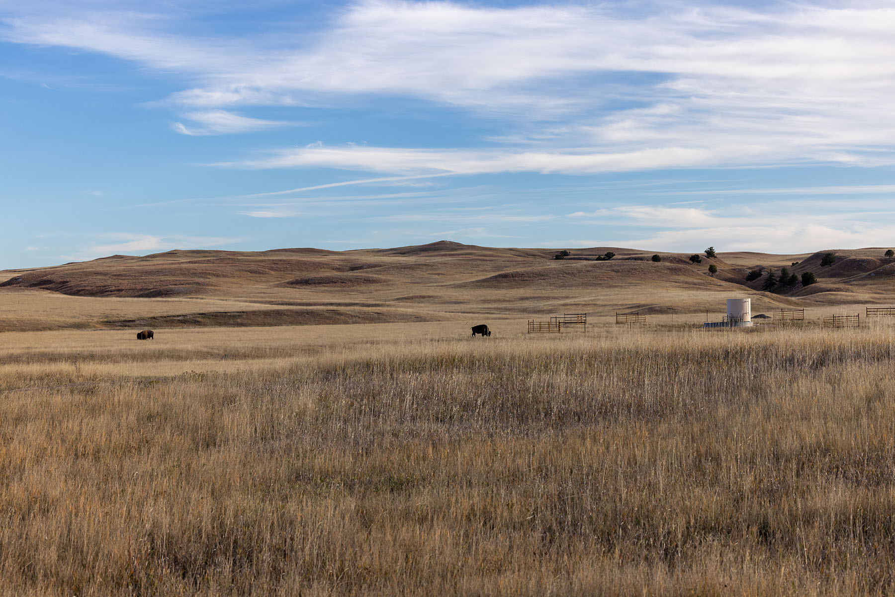 Dakota Partnership Ranch - Sold - South Dakota - Hall and Hall