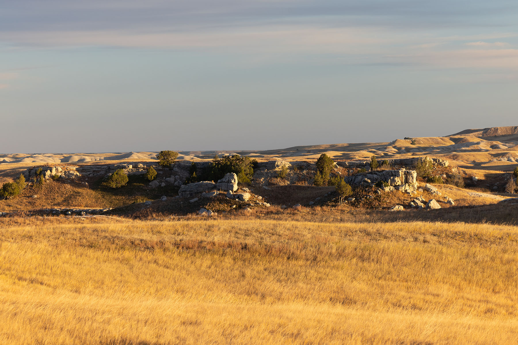 Dakota Partnership Ranch - Sold - South Dakota - Hall and Hall