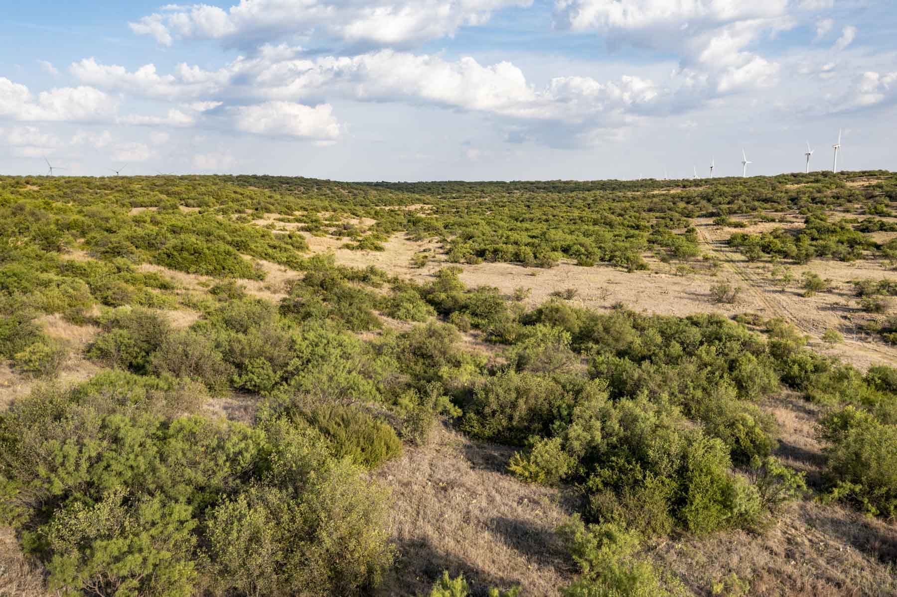 Crooked Tree Ranch - Sold - Texas - Hall and Hall